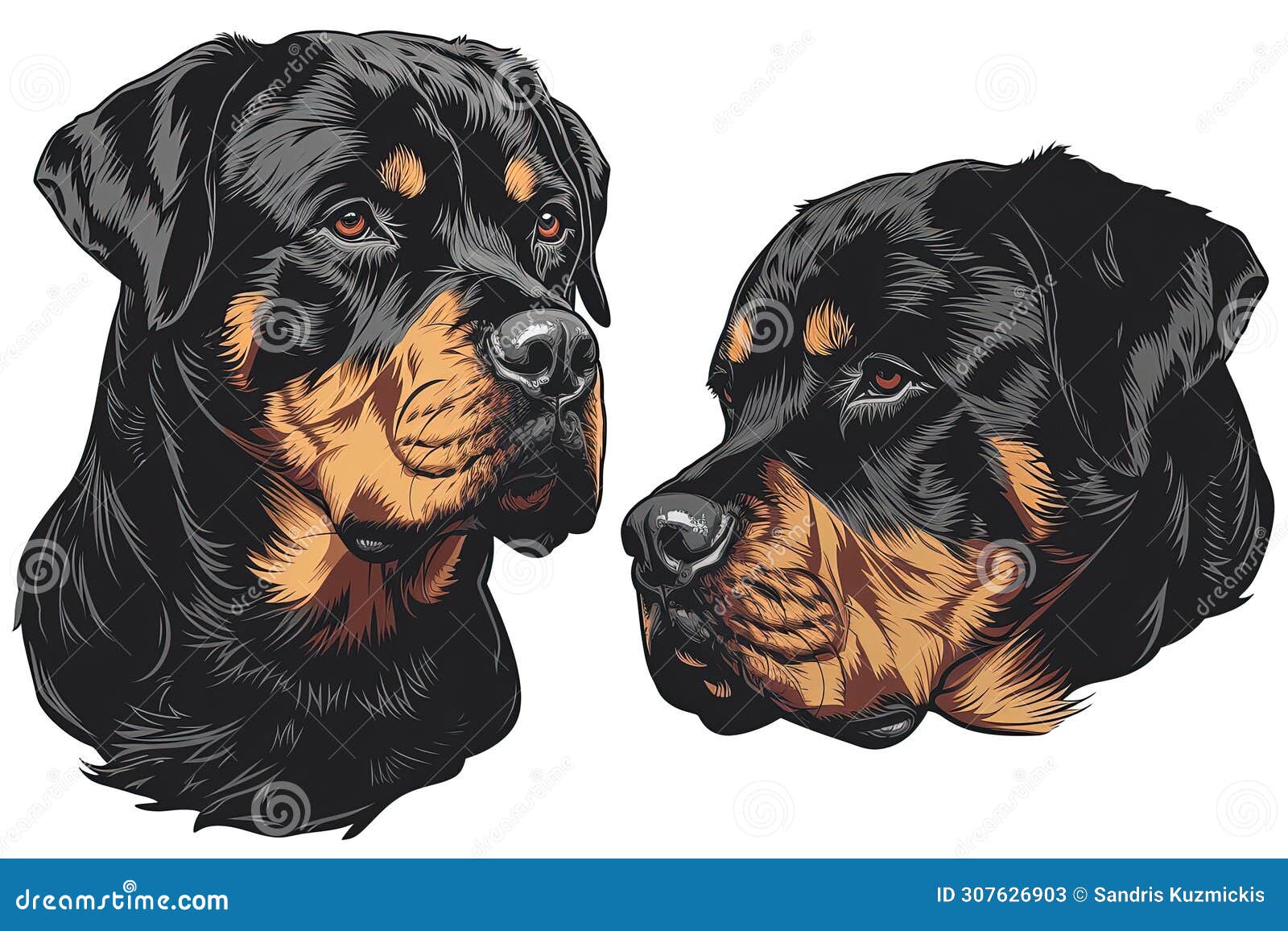 Rottweiler Head, Vector Portrait With One Continuous Line ...