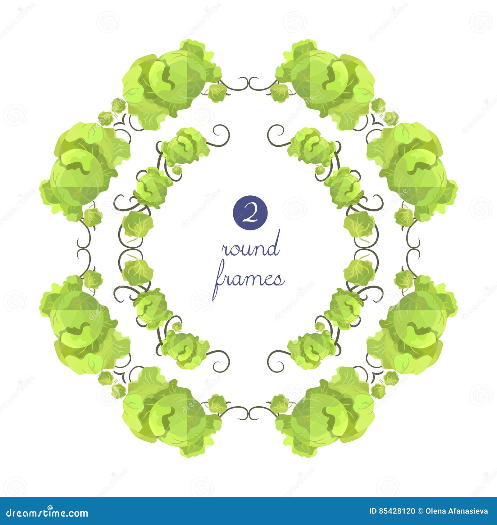 Vector Round Frames with White Cabbage in Origami Style Stock Vector ...