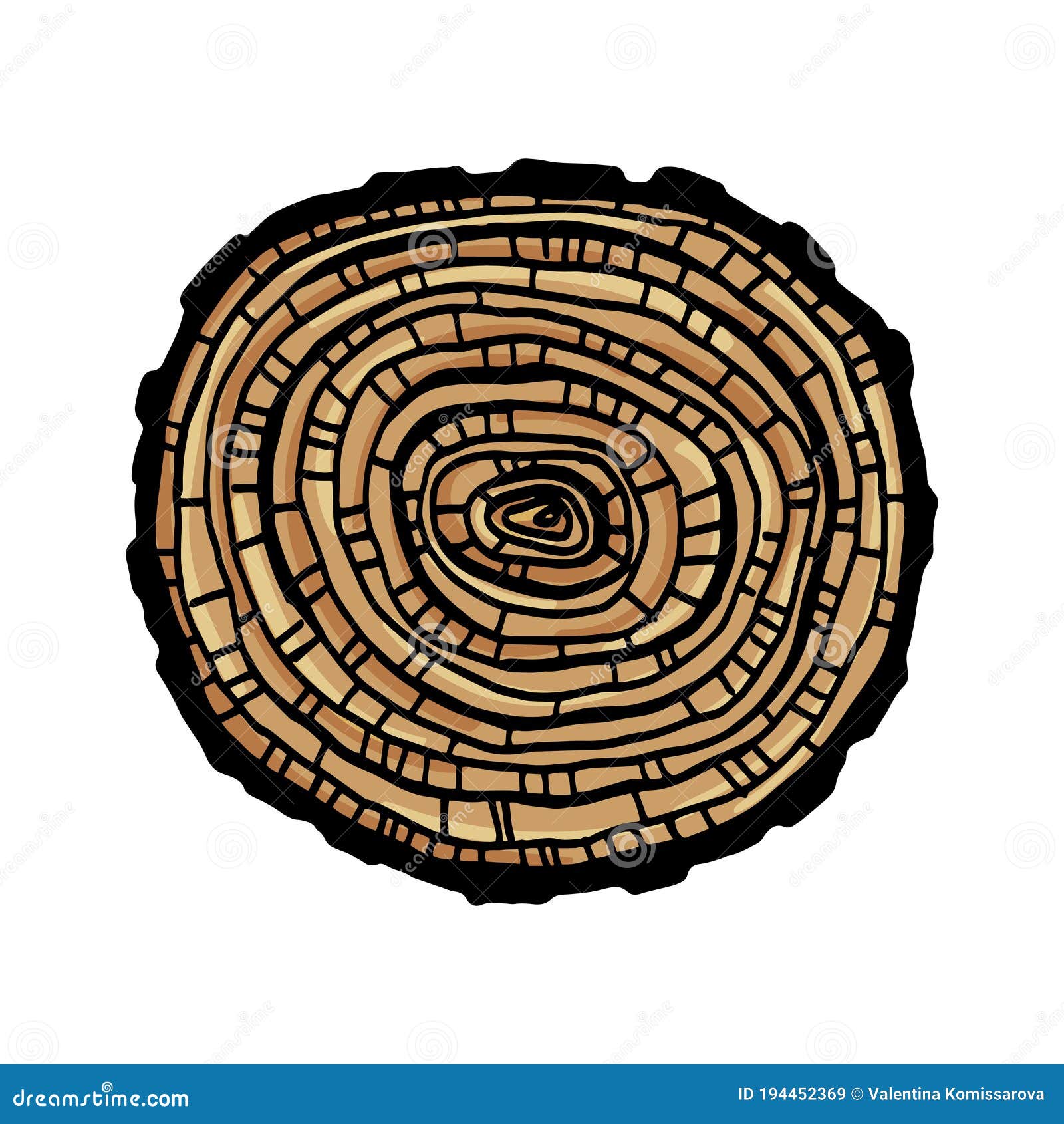 Vector Round Section of a Tree. Stock Vector - Illustration of natural ...