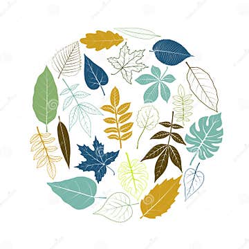 Vector Round Template with Tree Leaves Stock Vector - Illustration of ...