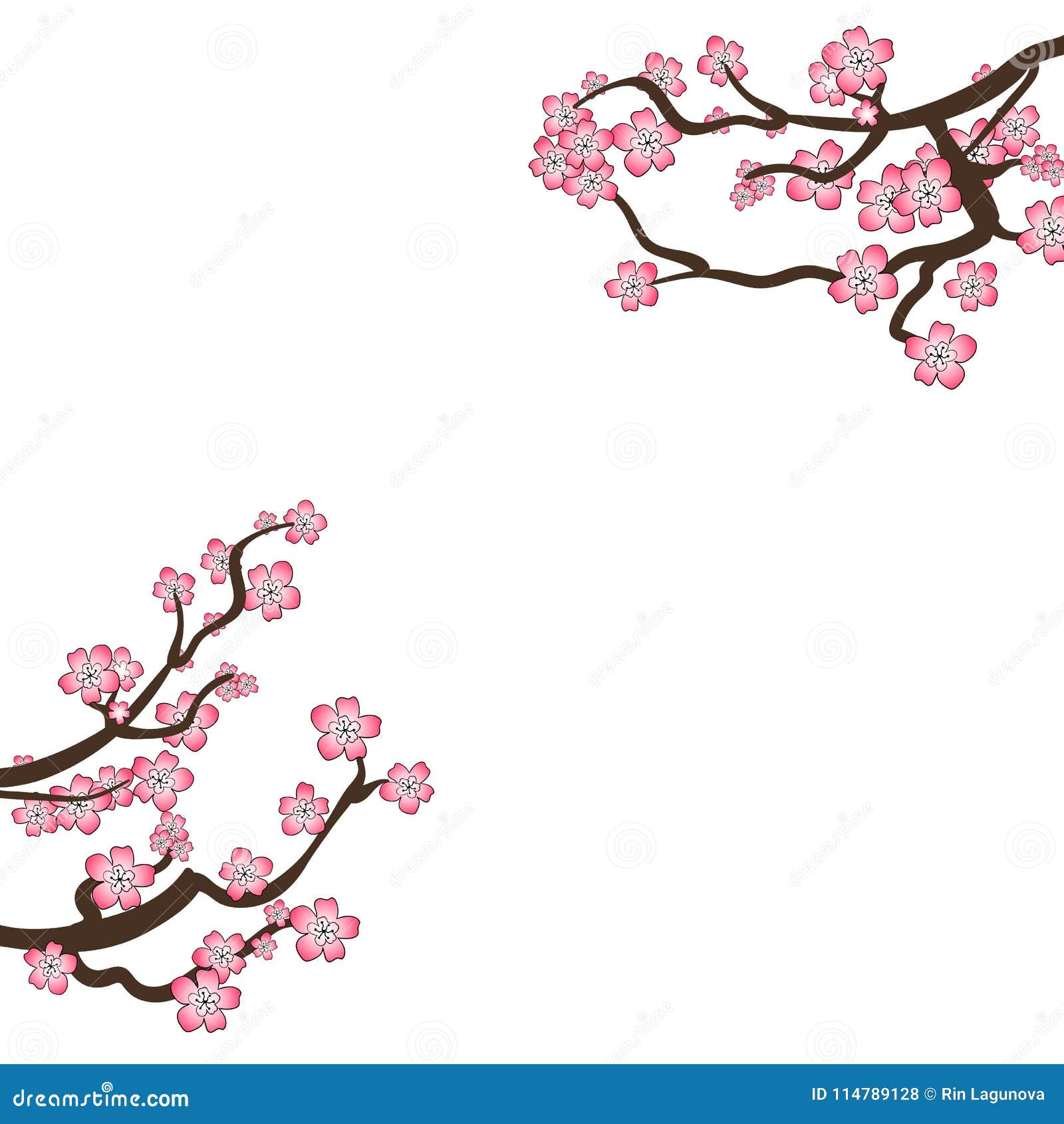 VECTOR Sakura Frame, Blooming Branches Isolated on White Background ...