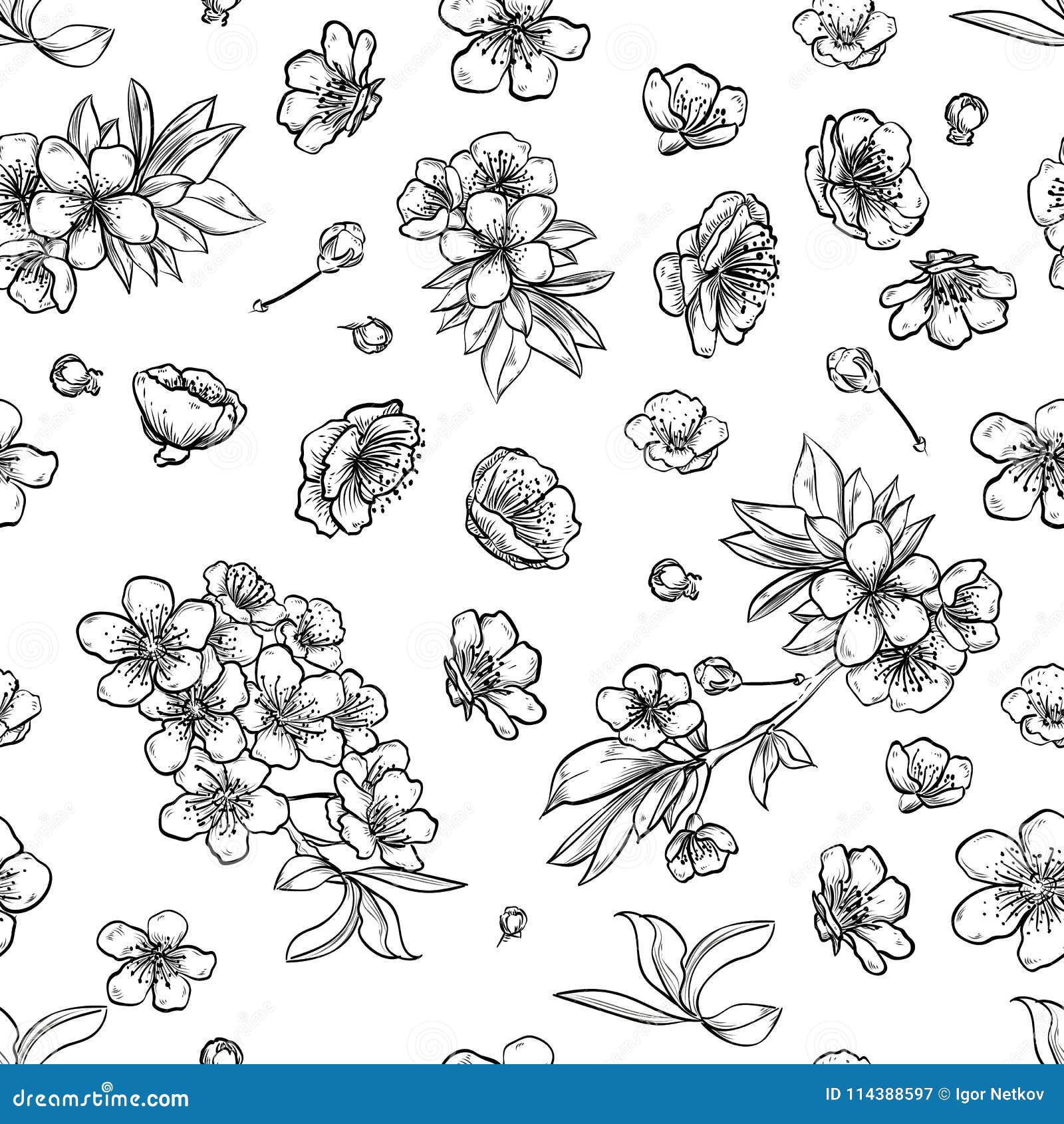 Vector Sakura Seamless Pattern of Flowers Stock Vector - Illustration ...