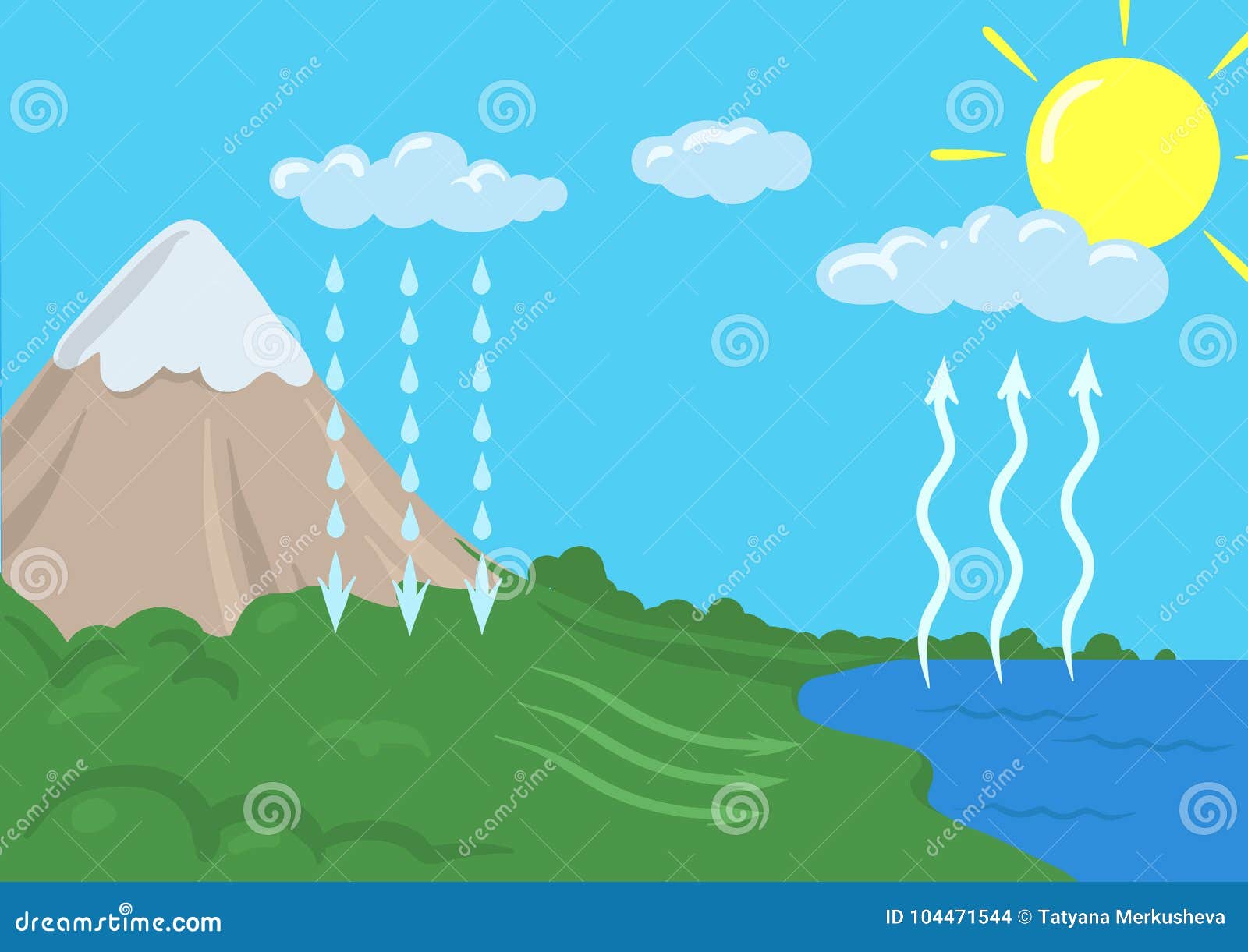 Vector Schematic Representation of the Water Cycle in Nature ... Vector Schematic Representation of the Water Cycle in Nature ...
