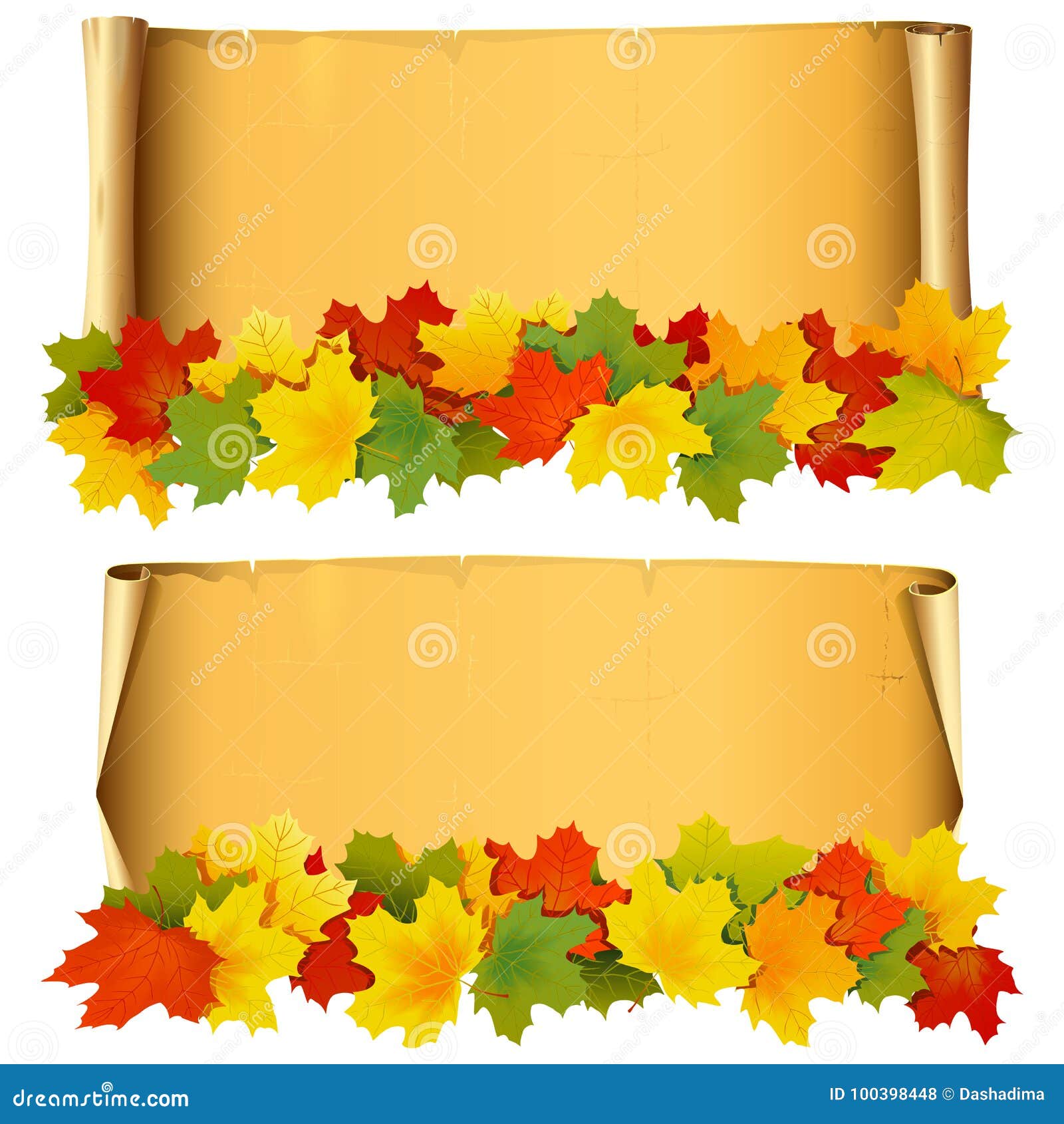 Vector Scroll with Autumn Leaves Stock Vector - Illustration of maple ...
