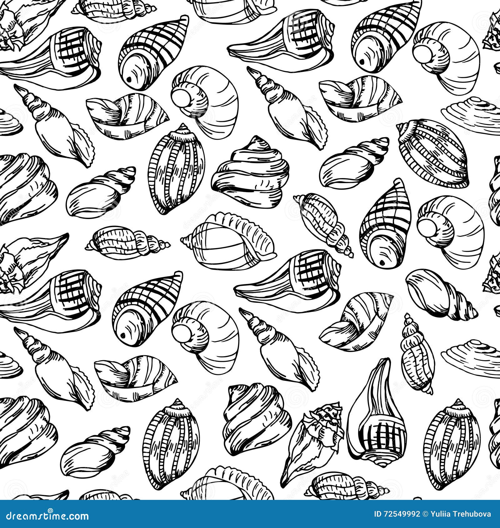 Shell Drawing Stock Illustrations – 57,828 Shell Drawing Stock ...