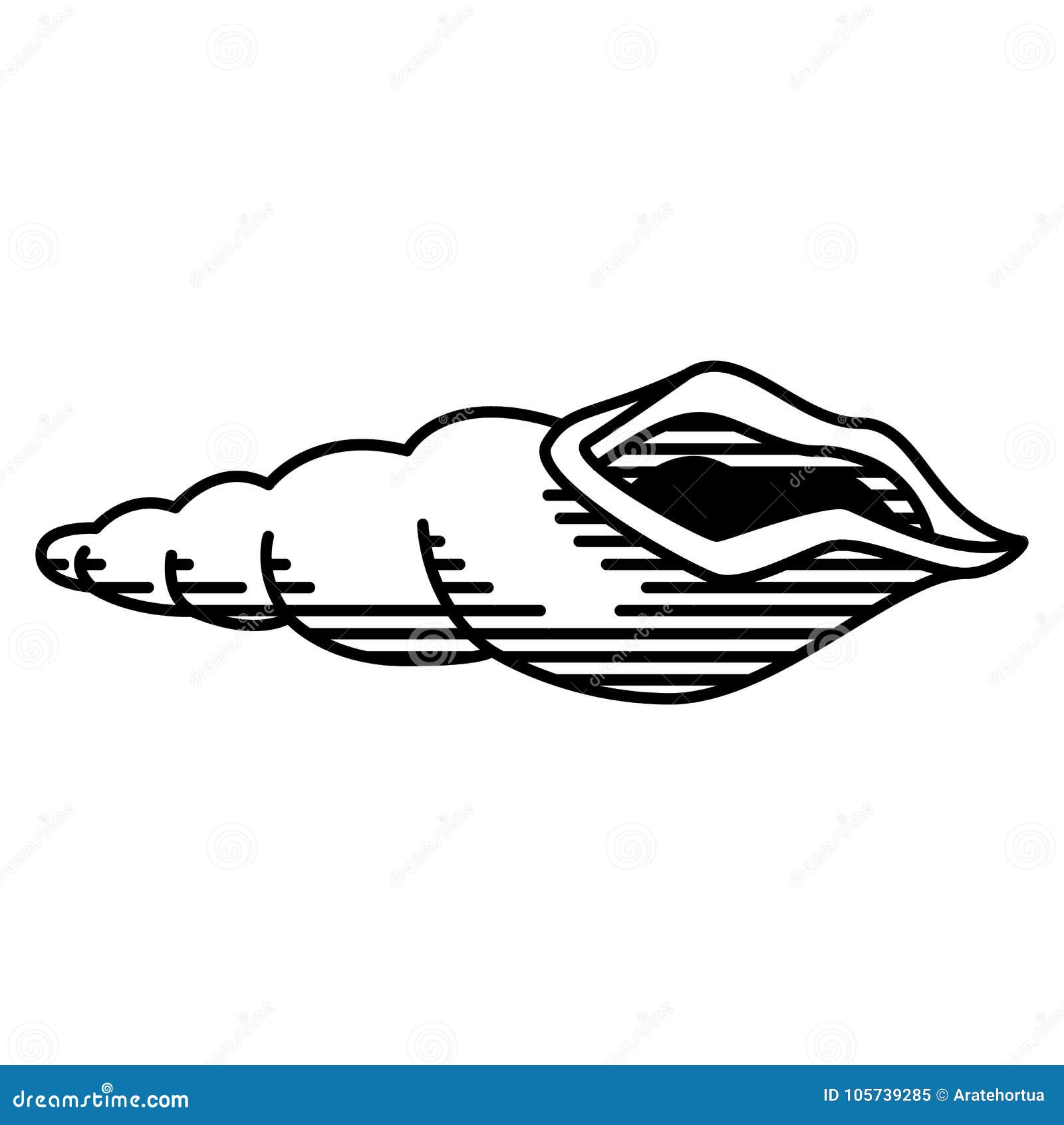 Sea Shell Isolated on White Background Stock Illustration ...