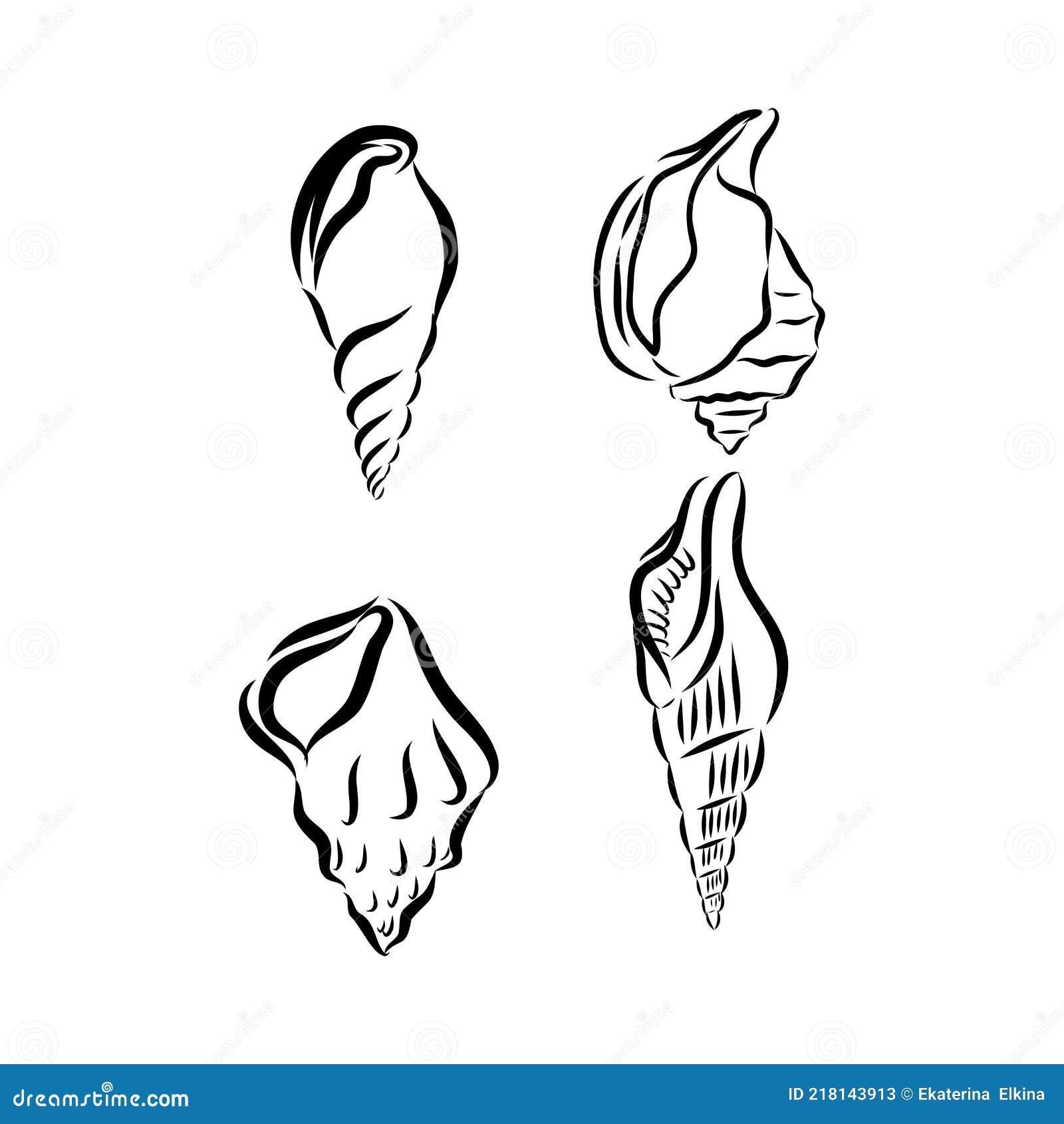 Vector Sea Shell or Marine Shells Line Icons Set on White Background ...