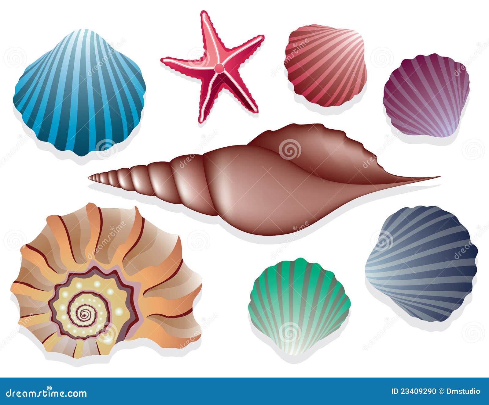 Vector sea shells stock vector. Illustration of asteroid - 23409290