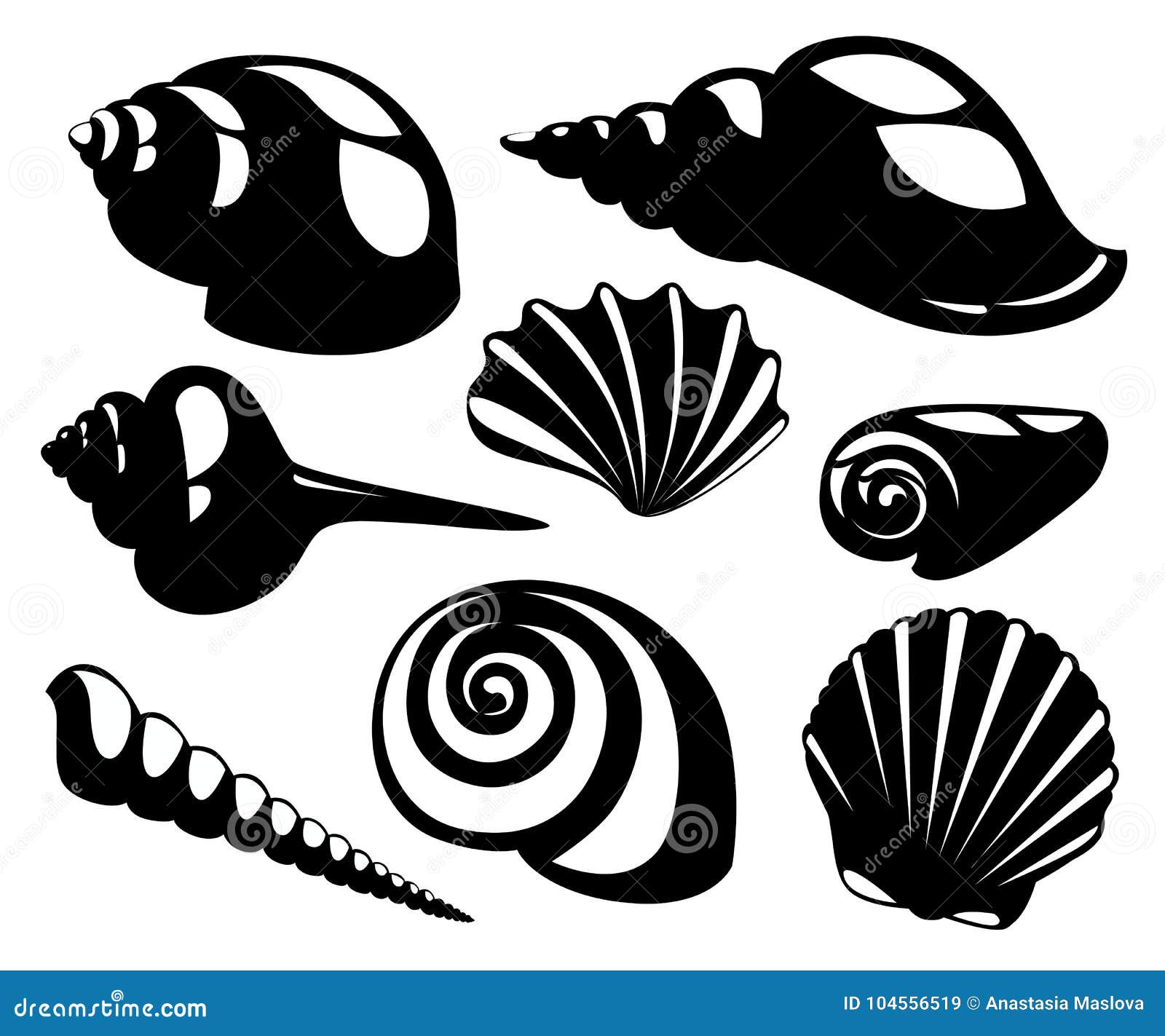 Vector Sea Shells and Pearl Seashell Silhouettes Isolated on White ...