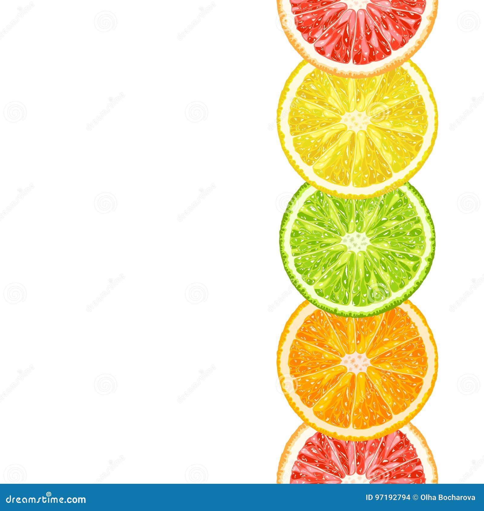 Vector Seamless Border of Citrus Slices - Lime, Grapefruit, Lemon Stock ...