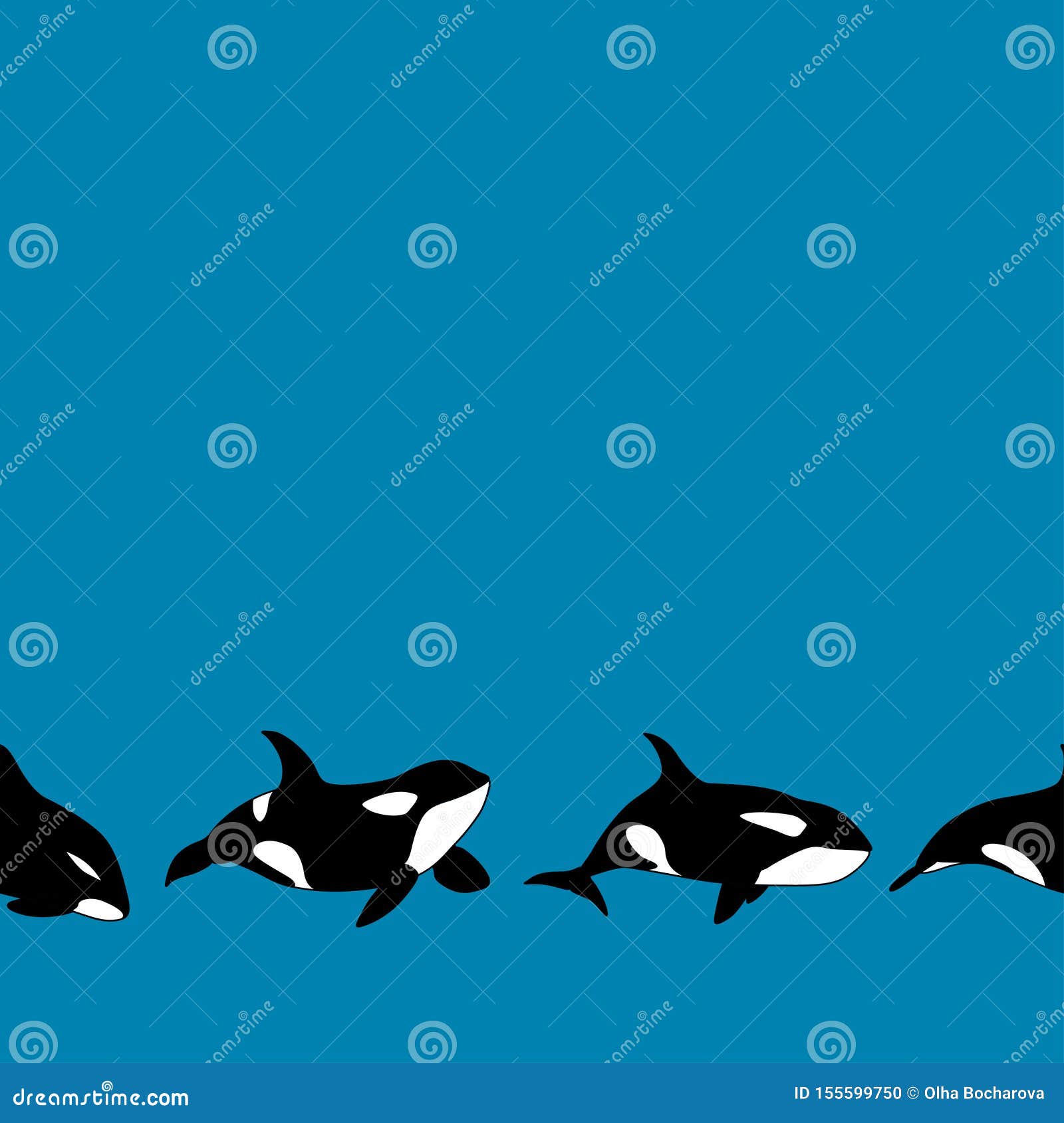 Orca Border