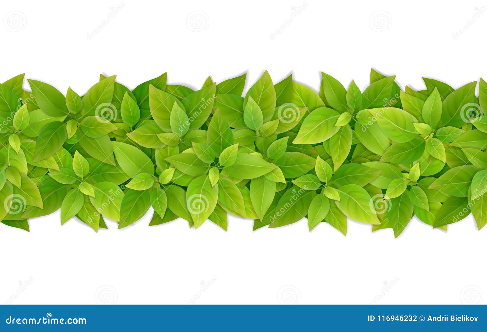 Vector Seamless Border with Green Leaves. Stock Vector - Illustration ...