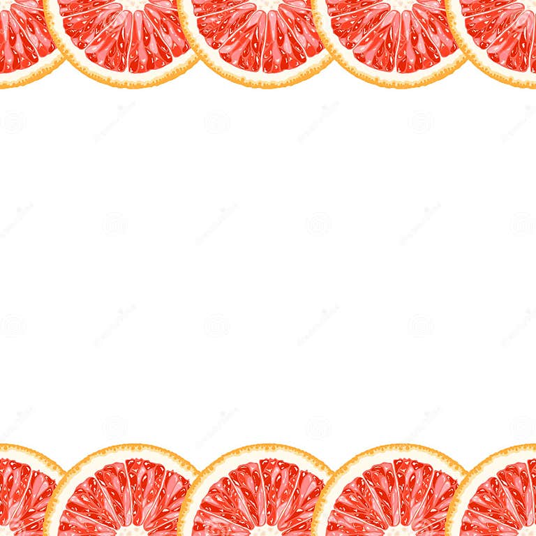 Vector Seamless Decorative Horizontal Border of Grapefruit Slice Stock ...