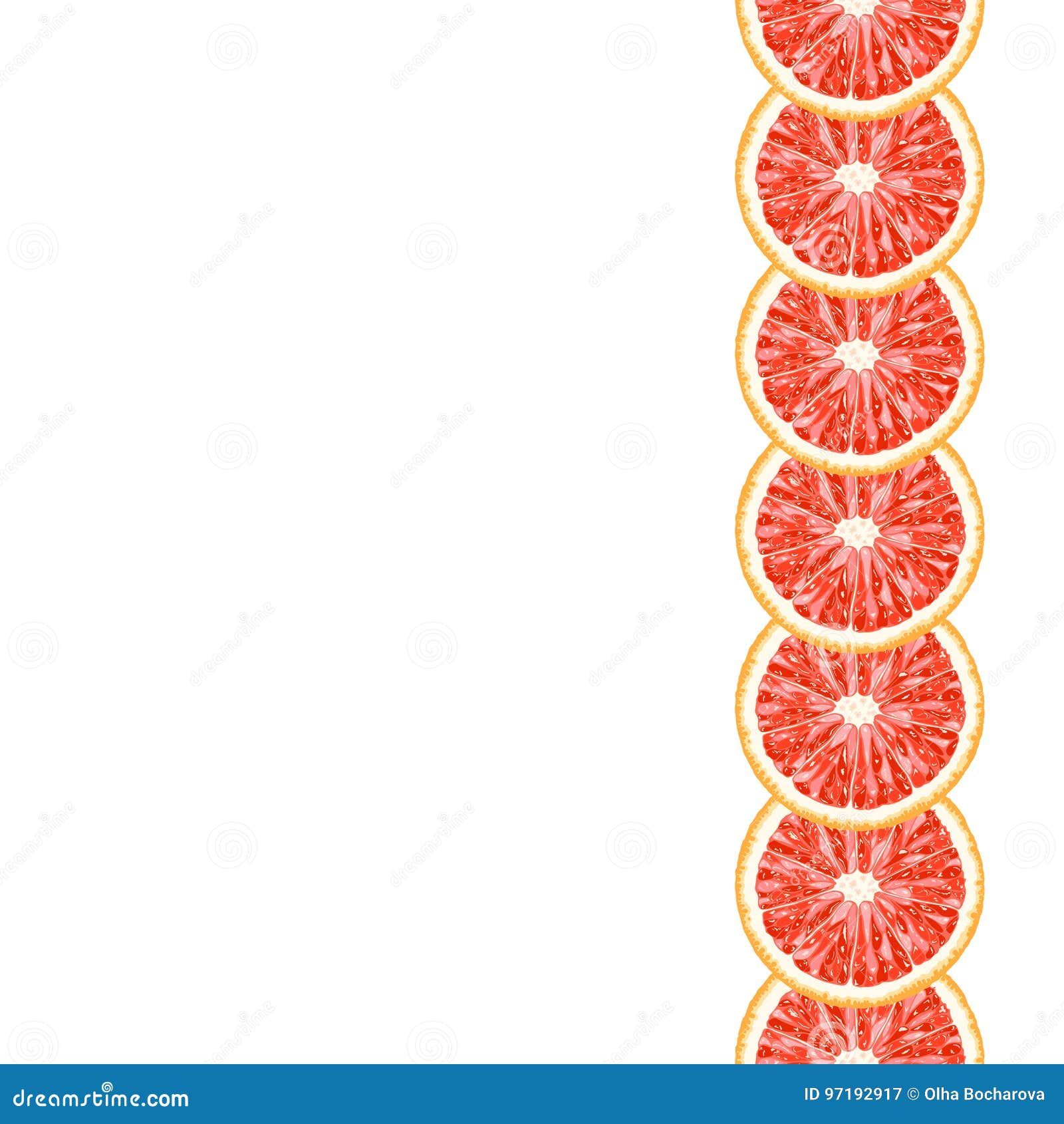 Vector Seamless Decorative Vertical Border of Grapefruit Slices. Stock ...