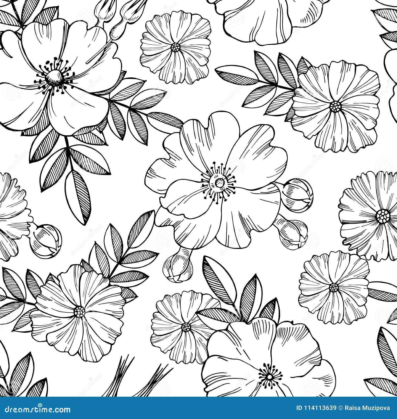 Vector Seamless Floral Pattern with Flowers of Wild Rose. Stock Vector ...