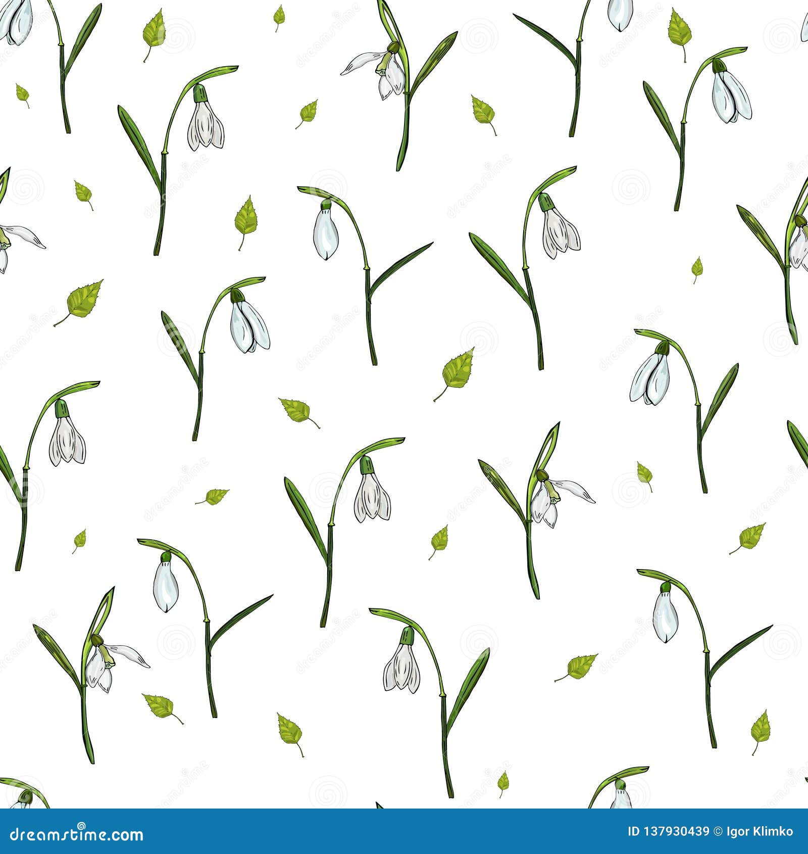 Vector Seamless Floral Pattern with Snowdrops Stock Vector ...