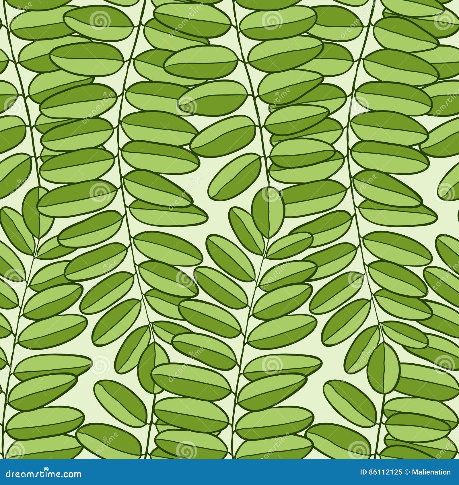 Vector Seamless Pattern with Acacia Leaves. Spring Background for ...