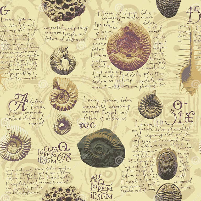 Seamless Pattern with Ancient Ammonite Shells and Trilobites Stock ...