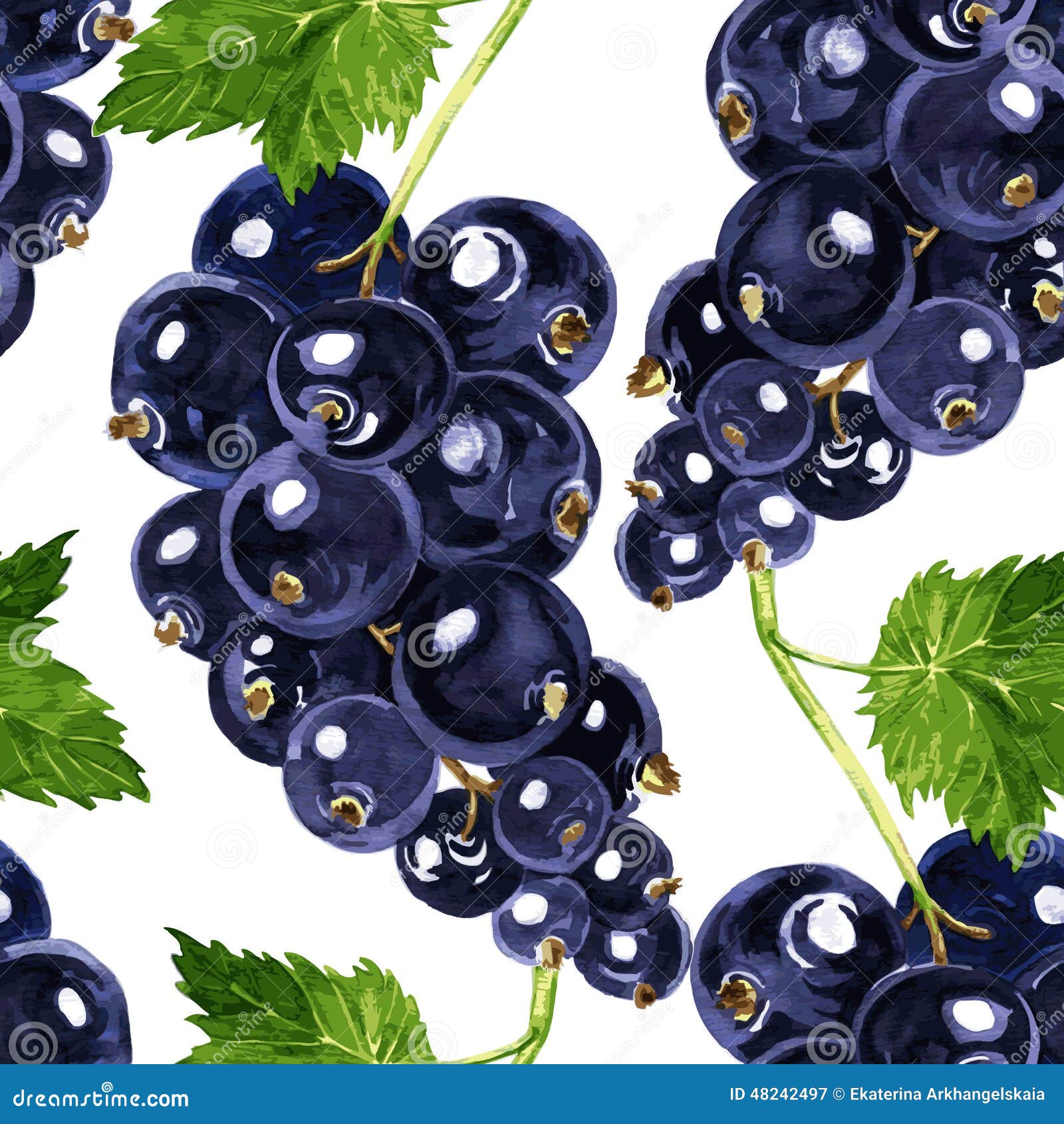 Vector Seamless Pattern with Blackcurrant Stock Vector - Illustration ...