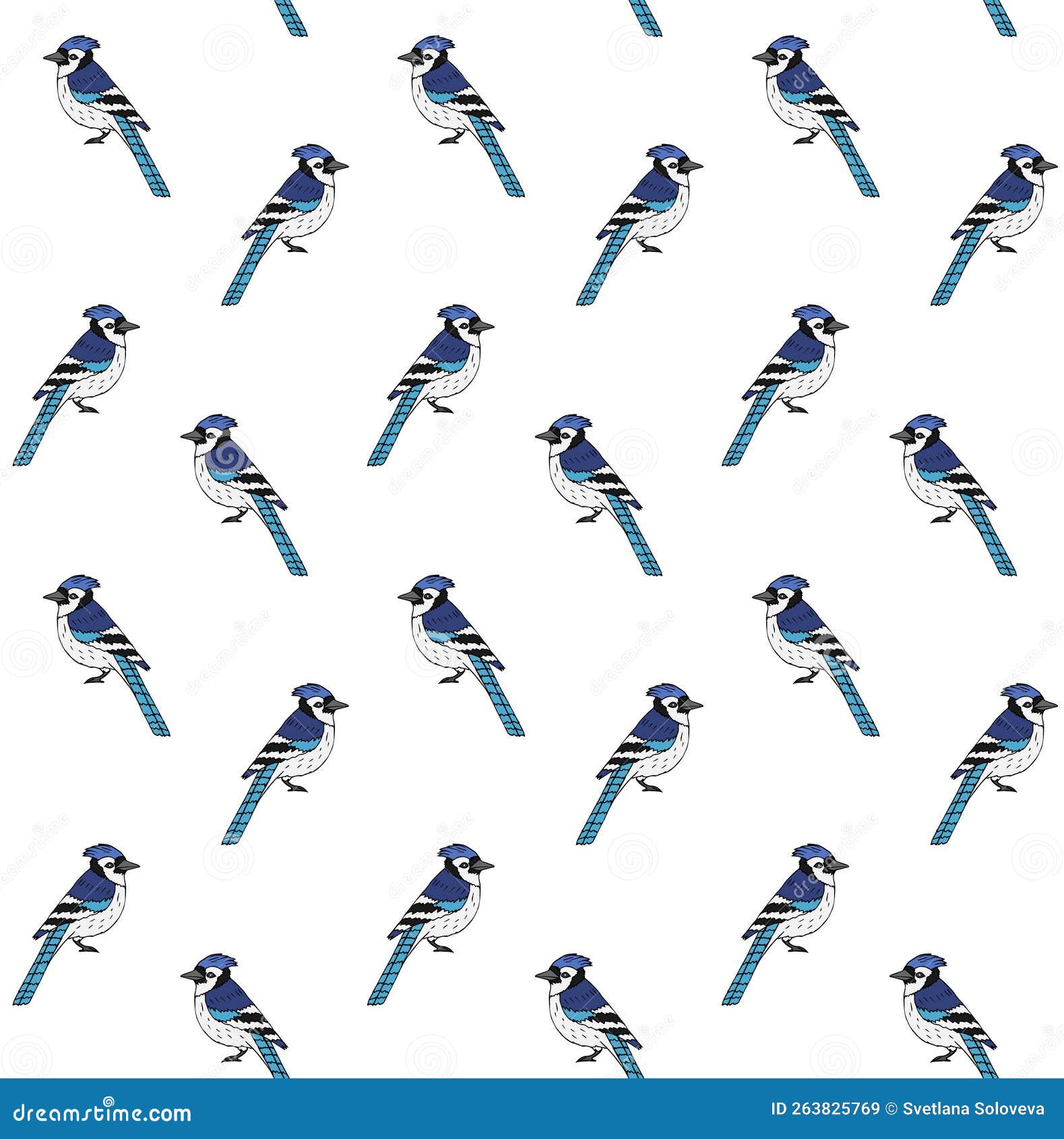 Vector Seamless Pattern of Blue Jay Bird Stock Vector - Illustration of ...