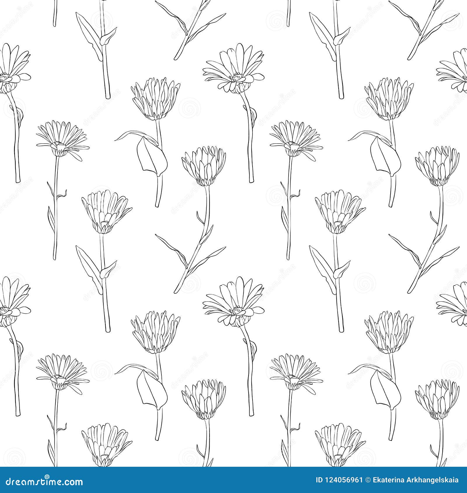 Vector Seamless Pattern with Calendula Flowers Stock Vector ...