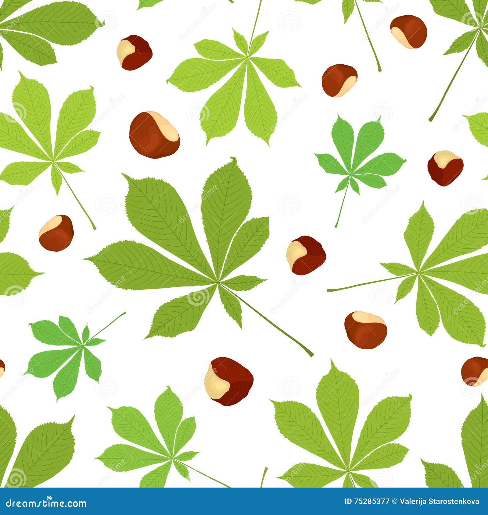 Vector Seamless Pattern of Chestnut Leaves and Nuts in Color on White ...