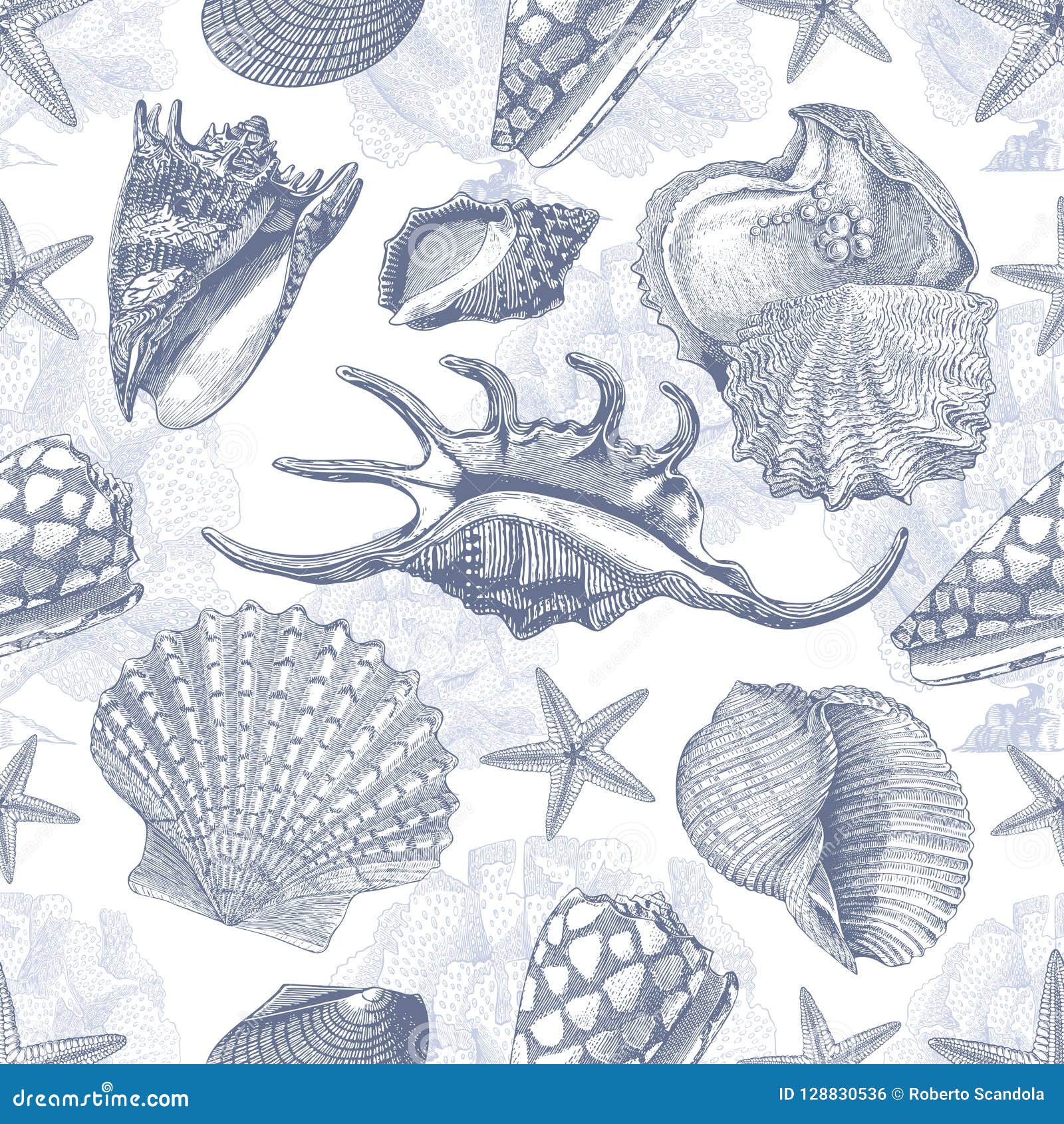 Sea Shell Vector Pattern Texture Stock Vector - Illustration of aquatic ...