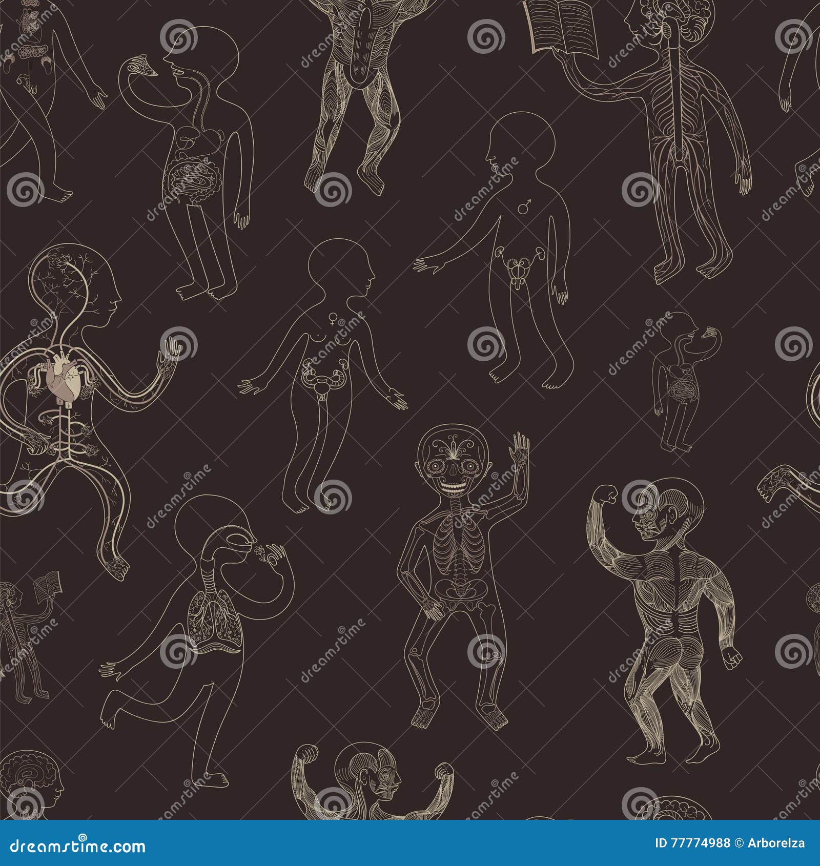 Vector Seamless Pattern with Contour Illustration of Human Anatomy ...