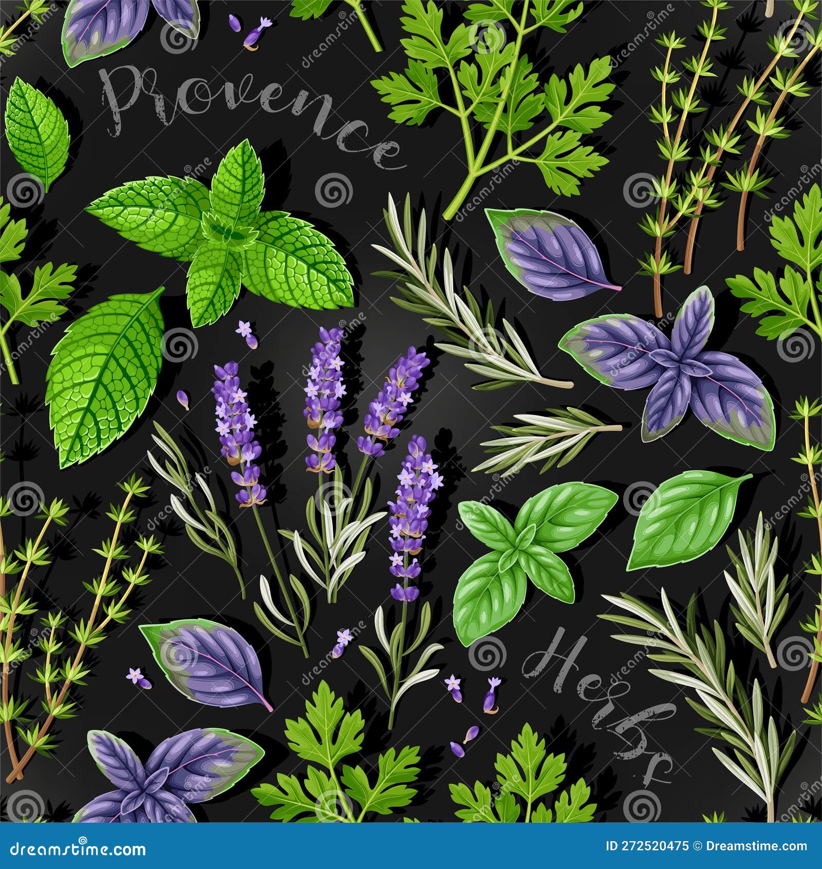 Vector Seamless Pattern with Culinary Spicy Herbs Stock Vector ...