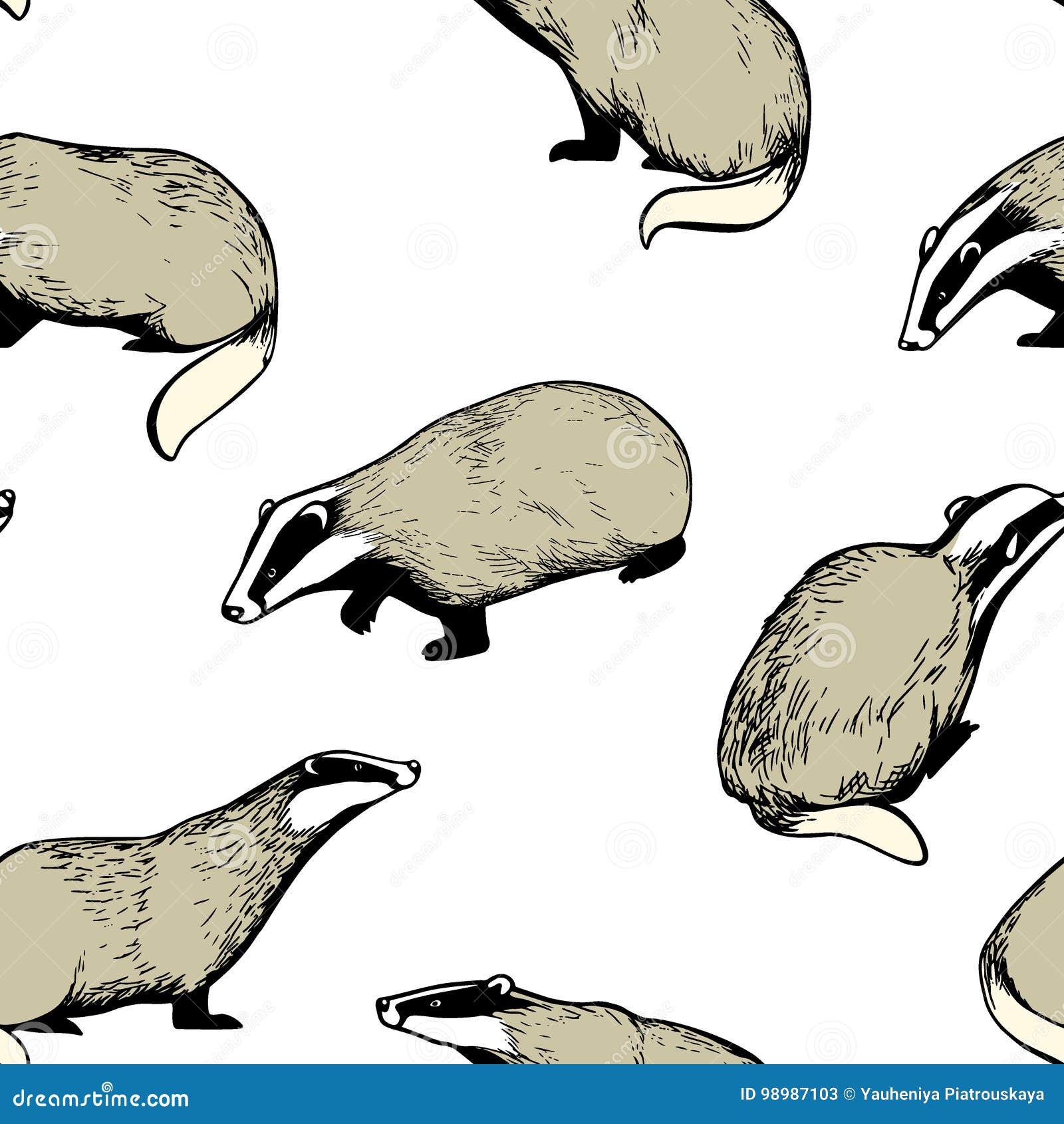 Hand drawn badgers pattern stock vector. Illustration of drawing - 98987103