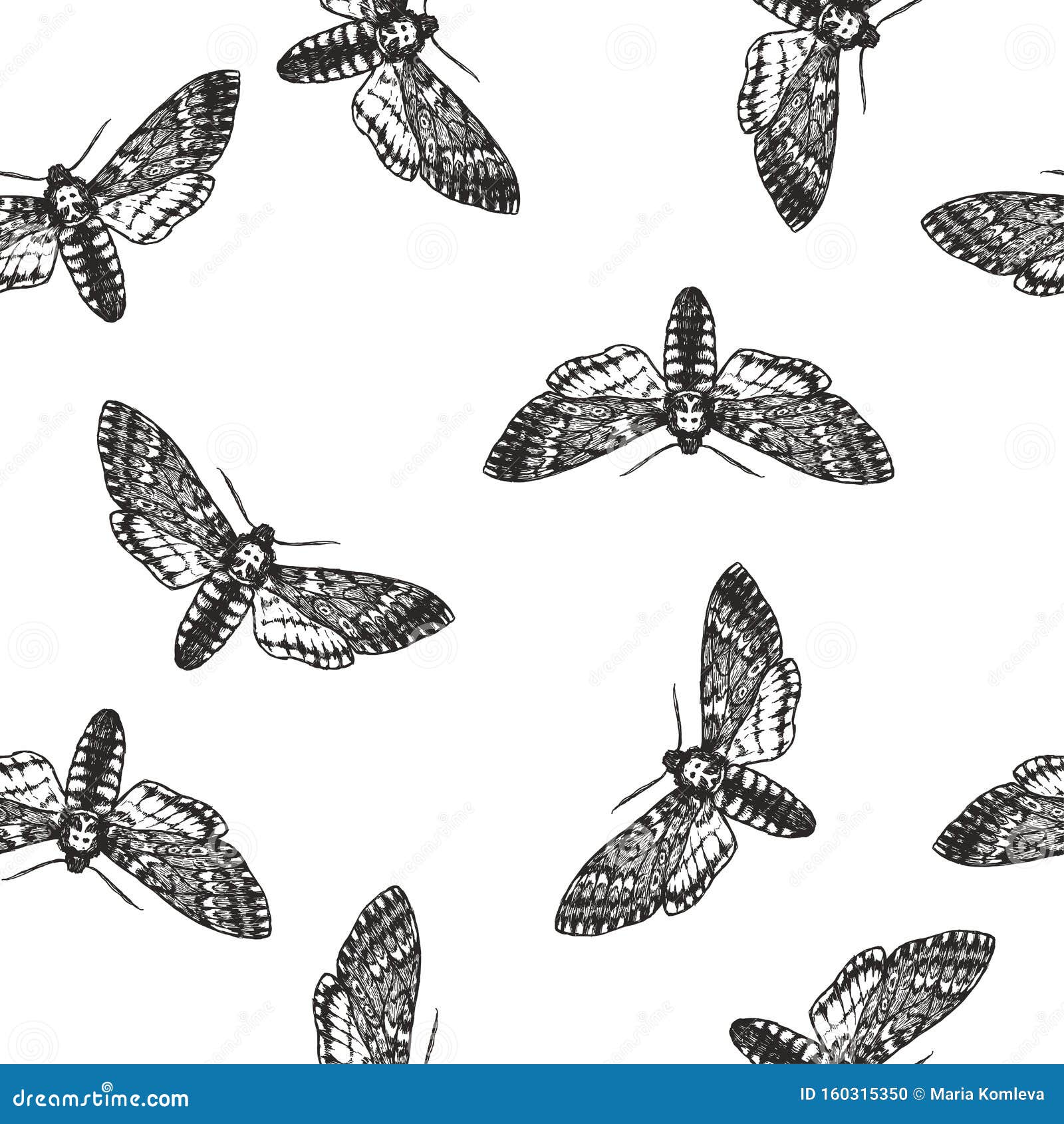 Vector Seamless Pattern with Death Head Moth in Engraving Style. Hand ...