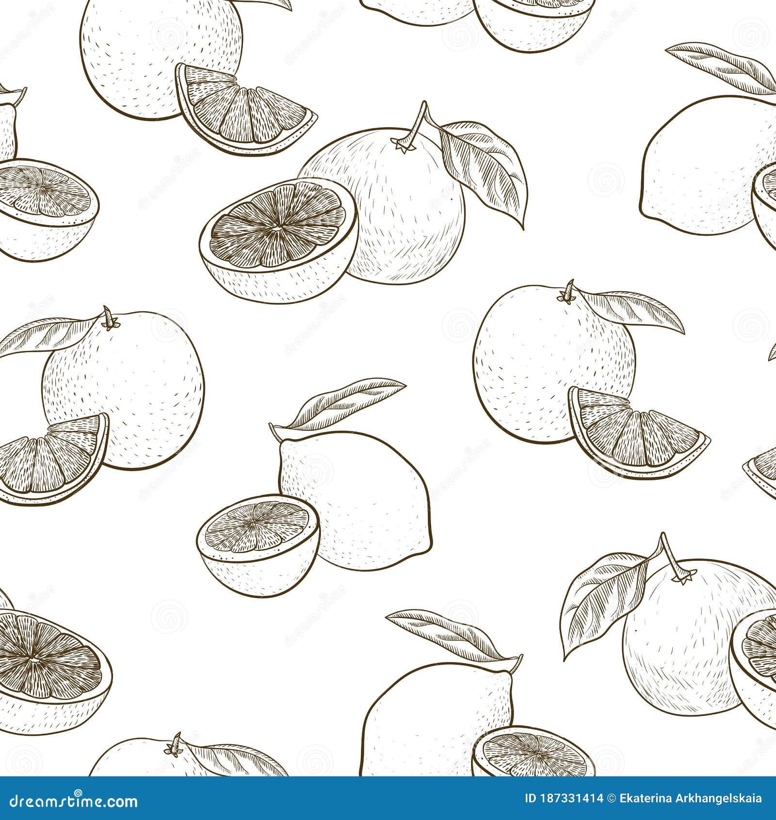 Vector Seamless Pattern with Drawing Citrus Fruit Stock Illustration ...