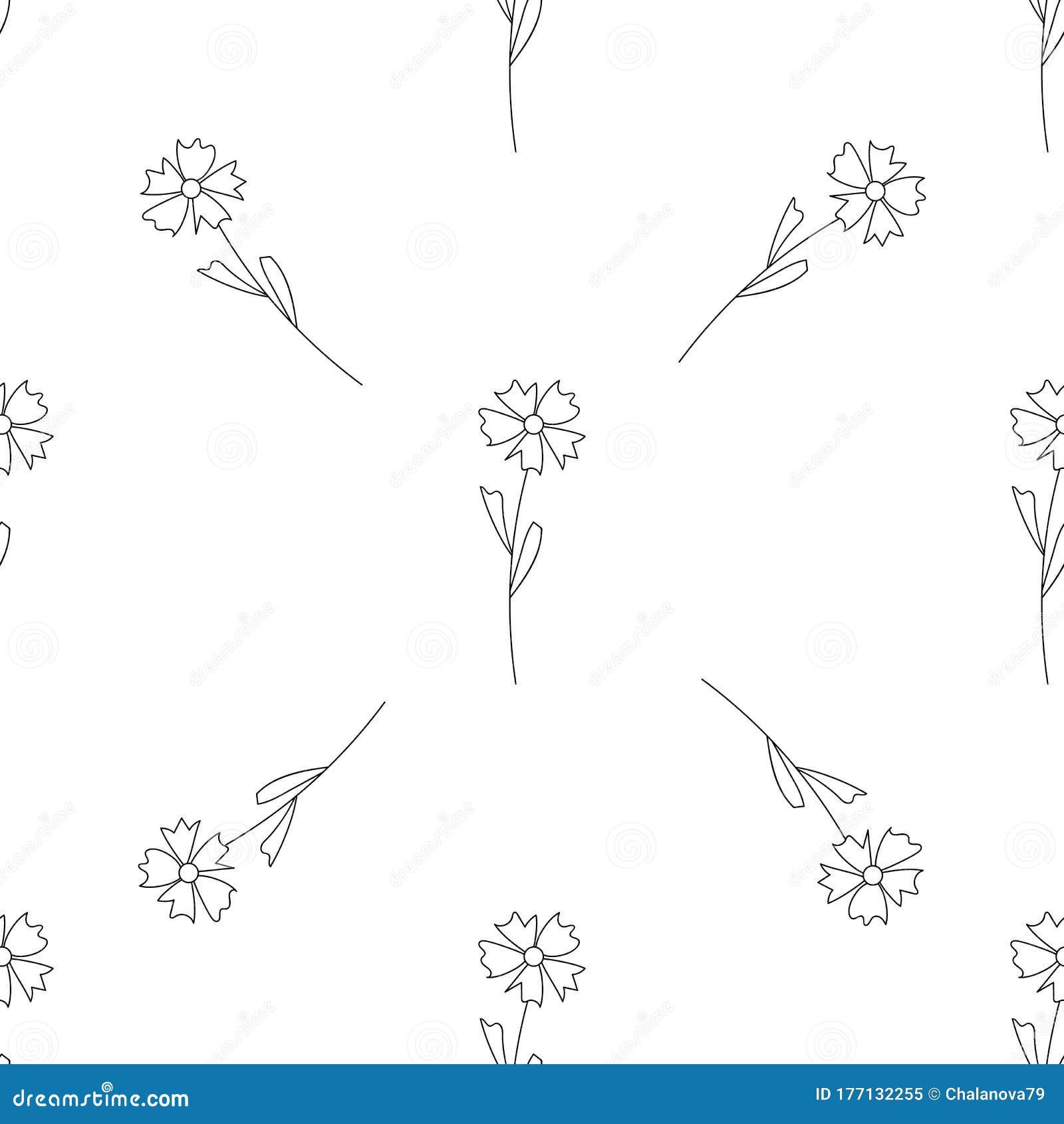 Vector Seamless Pattern with Drawing Knapweed Cornflowers, Floral ...