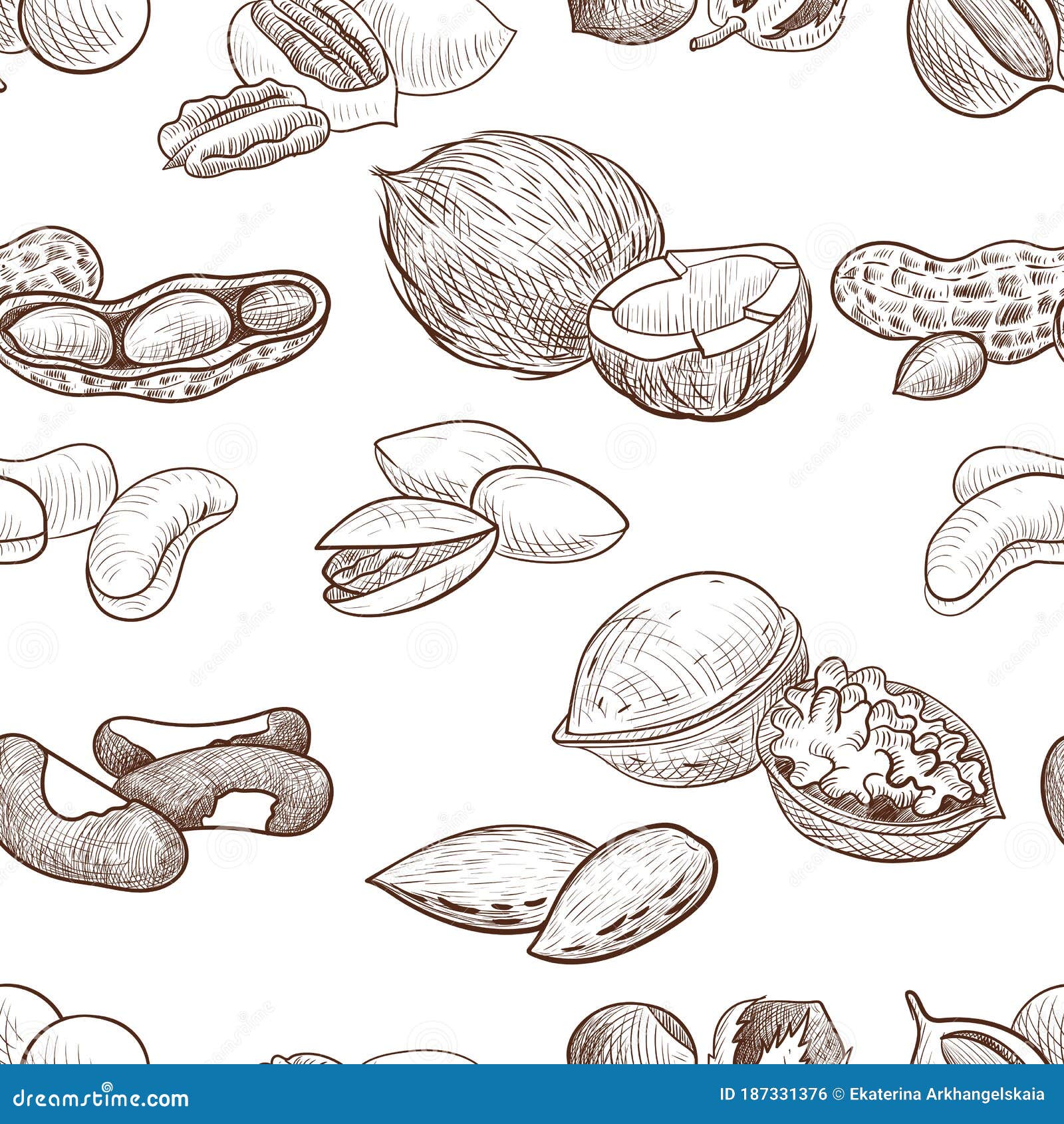 Vector Seamless Pattern with Drawing Nuts Stock Vector - Illustration ...