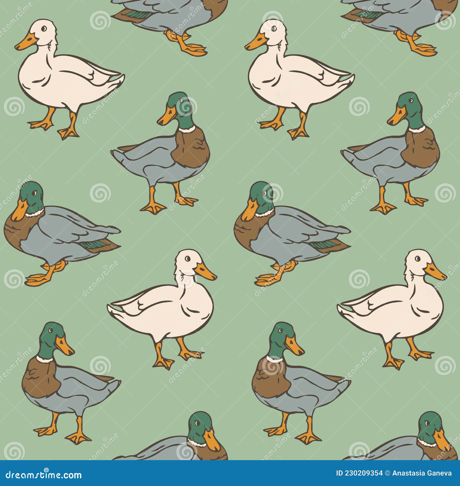 Vector Seamless Pattern with Ducks. Stock Vector - Illustration of ...