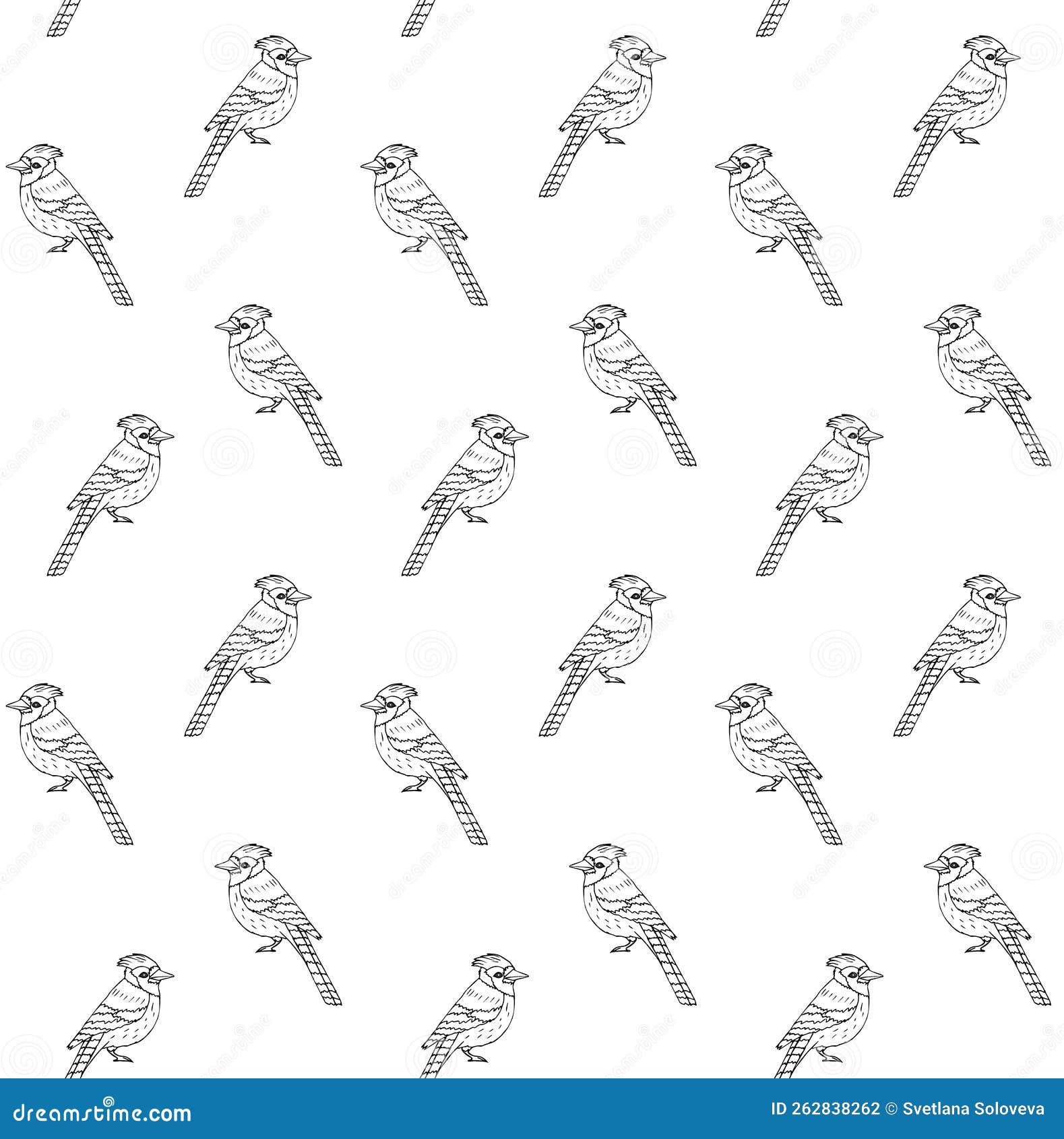 Vector Seamless Pattern of Hand Draw Blue Jay Bird Stock Vector ...