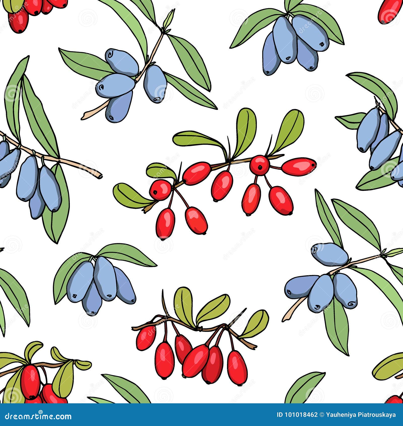 Hand drawn berry pattern stock vector. Illustration of autumn - 101018462