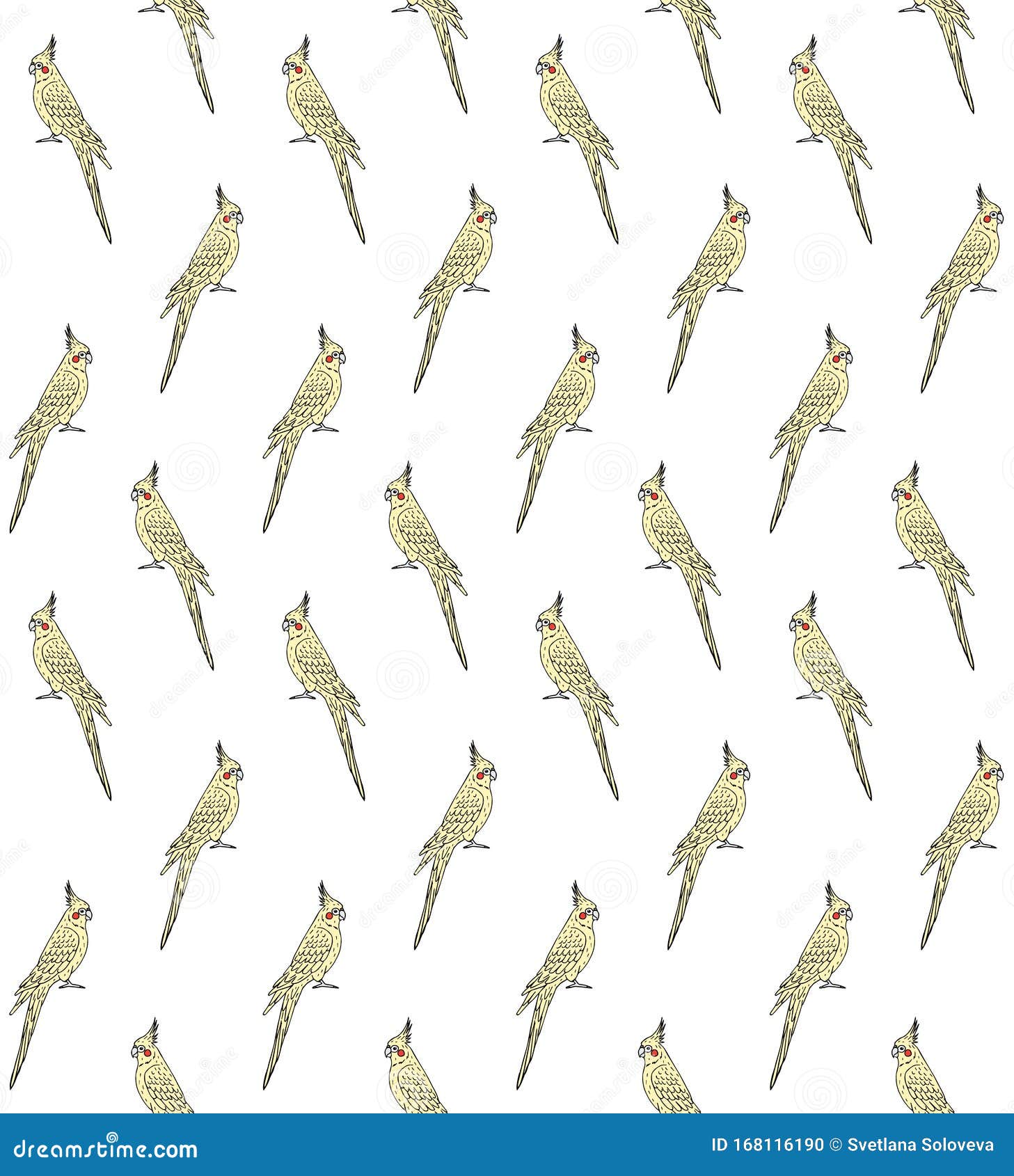 Vector Seamless Pattern of Hand Drawn Cockatiel Stock Vector ...