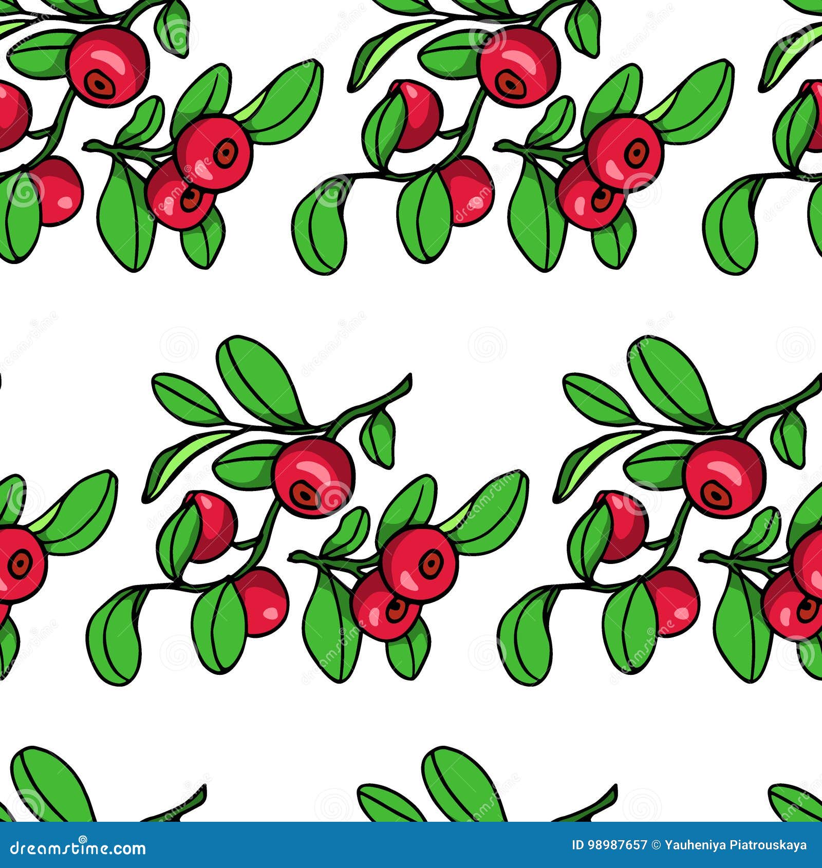 Hand Drawn Cranberry Pattern Stock Vector - Illustration of bush ...