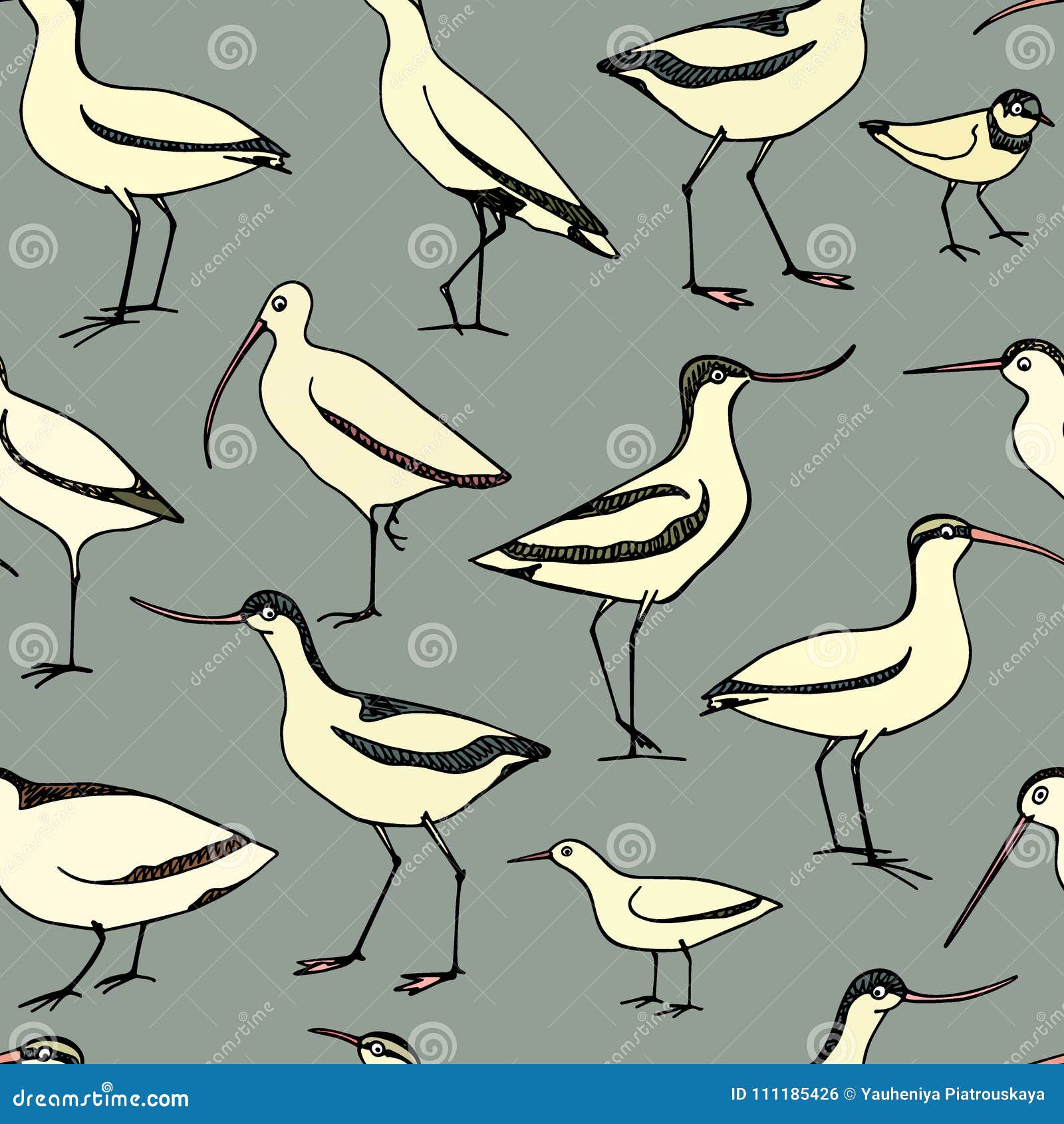 Hand Drawn Shorebird Pattern Stock Vector - Illustration of pattern ...