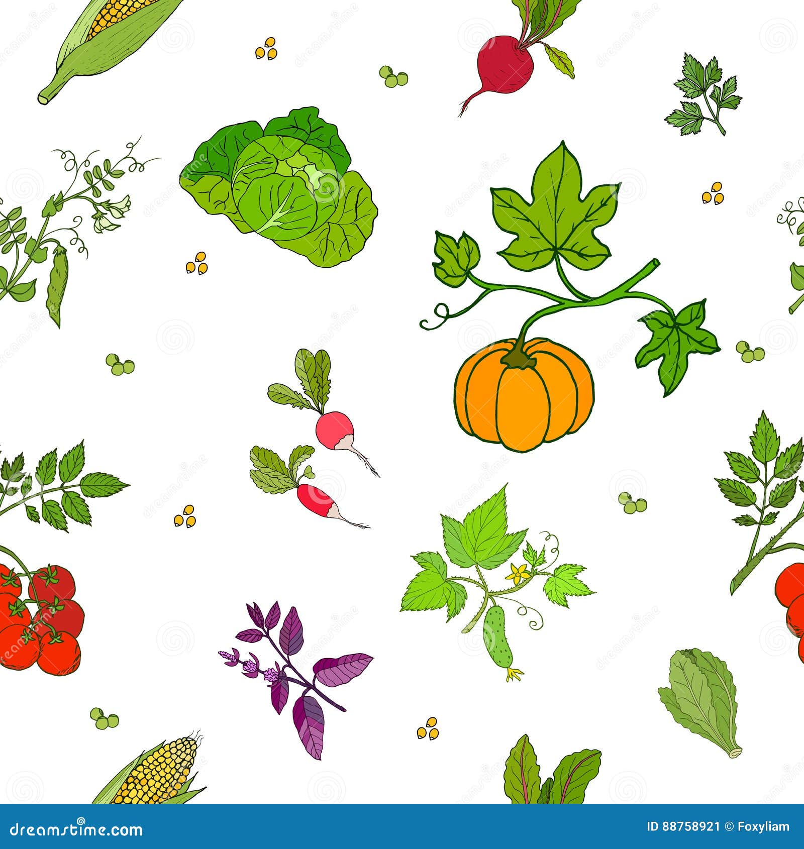 Vector Seamless Pattern of Hand Drawn Fresh Vegetables Stock Vector ...
