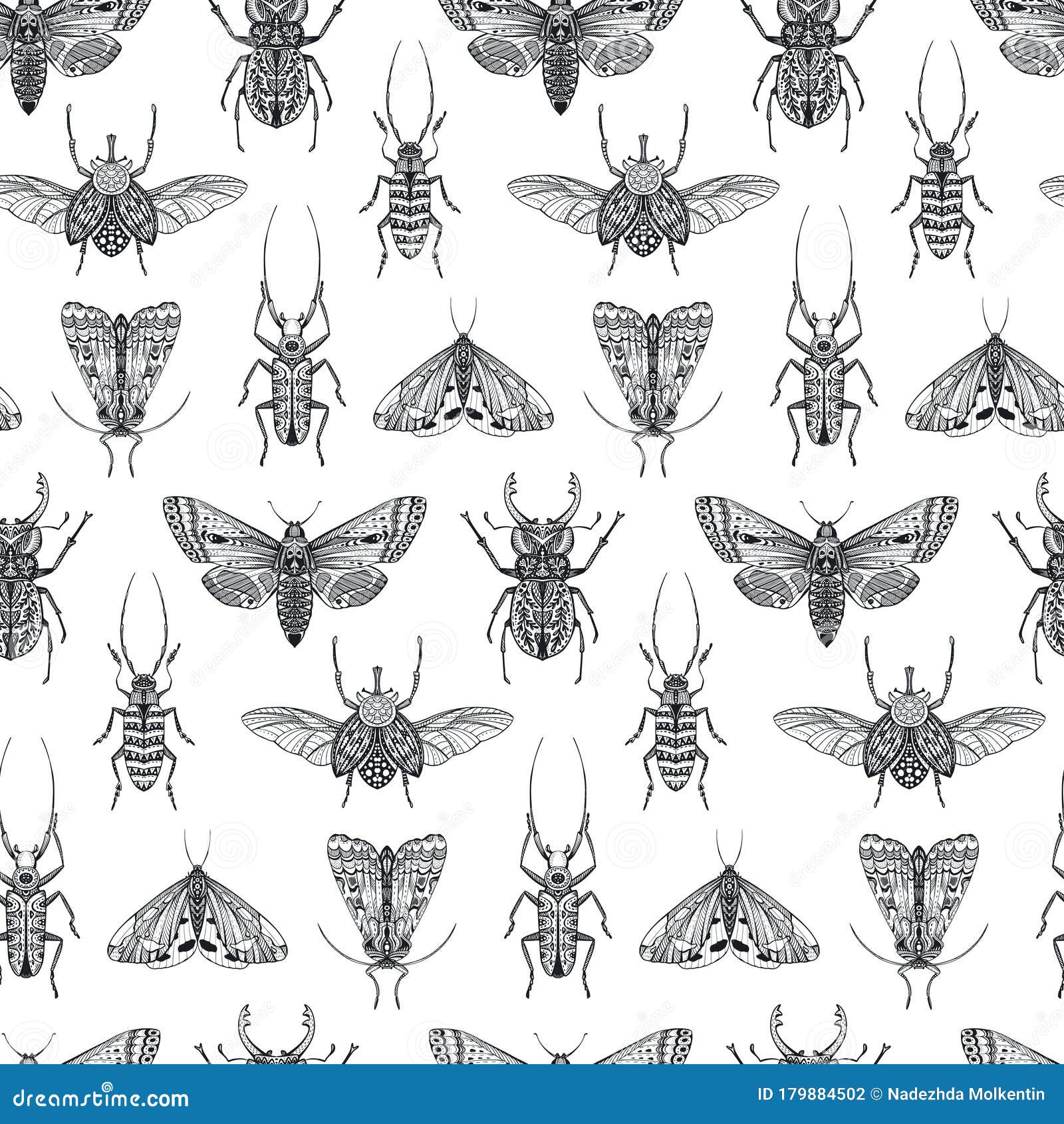 Vector Seamless Pattern with Hand Drawn Insects. Entomological Magical Endless Background. Stock ...
