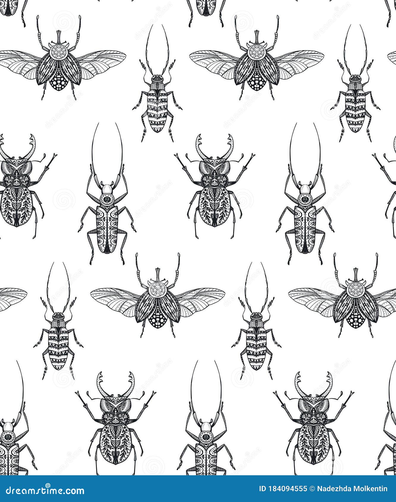 Vector Seamless Pattern with Hand Drawn Insects. Entomological Magical ...