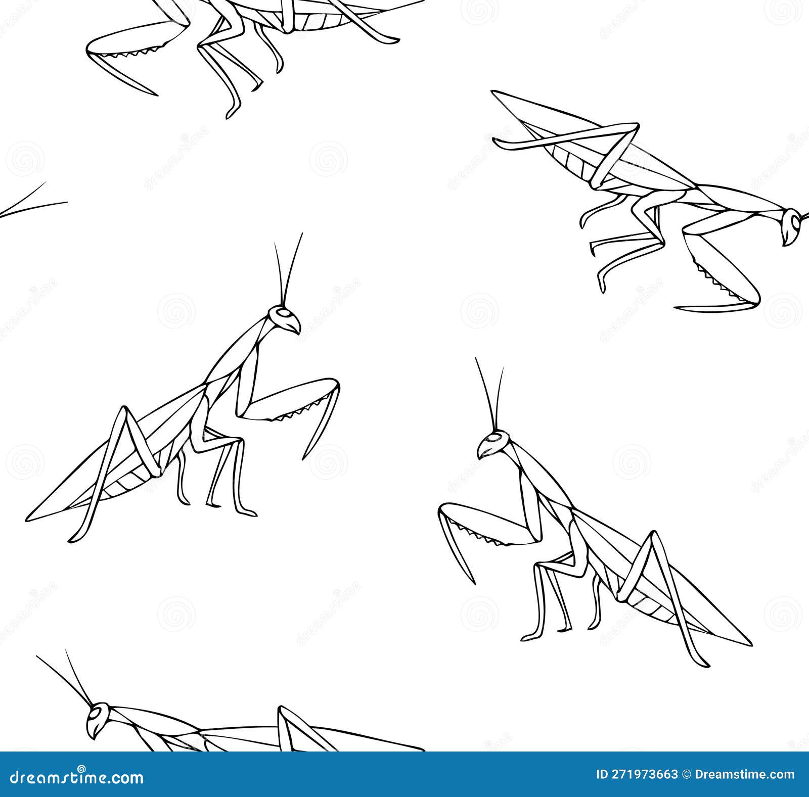 Vector Seamless Pattern of Hand Drawn Mantis Stock Vector ...