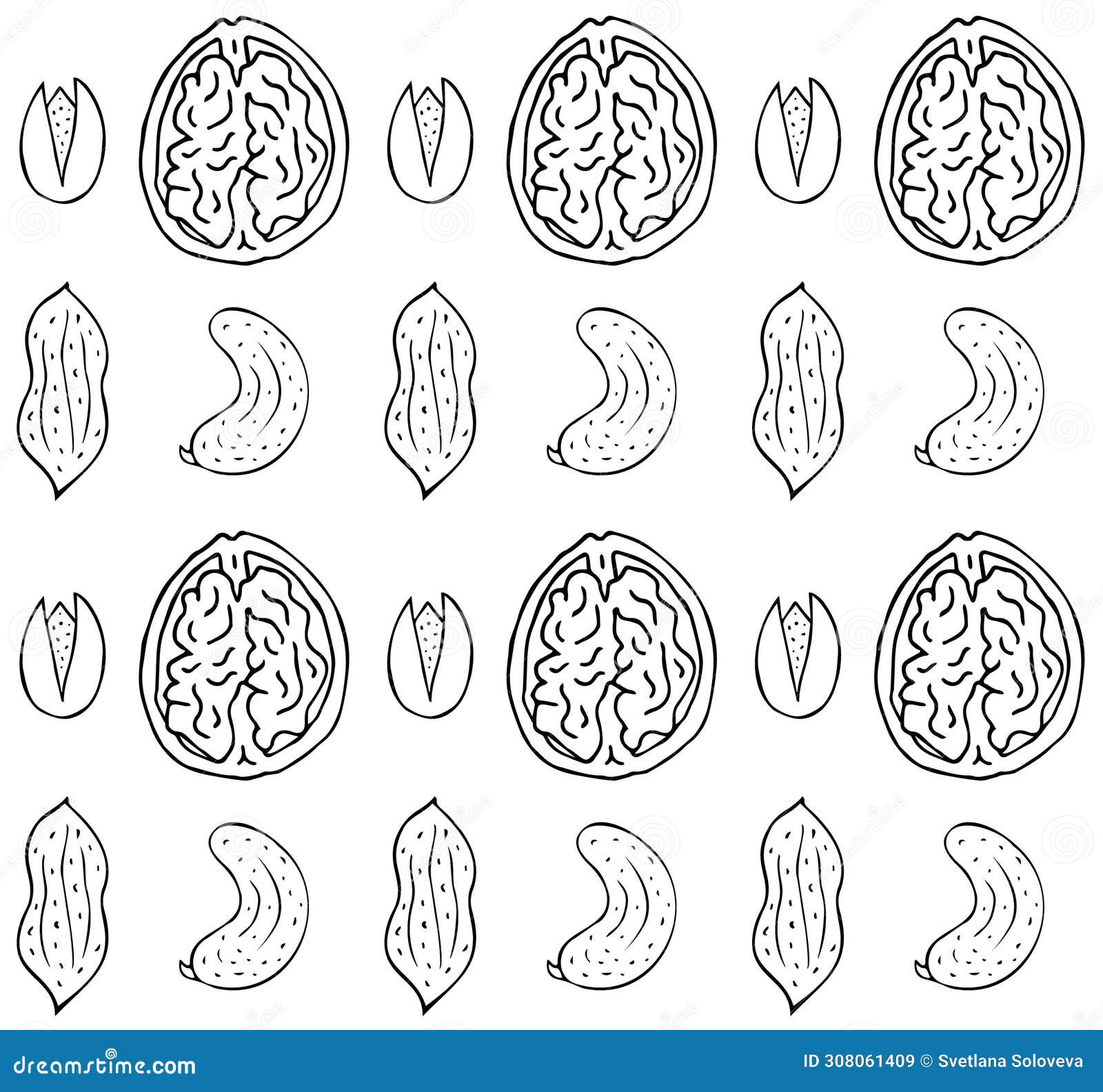 Vector Seamless Pattern of Hand Drawn Nuts Stock Vector - Illustration ...