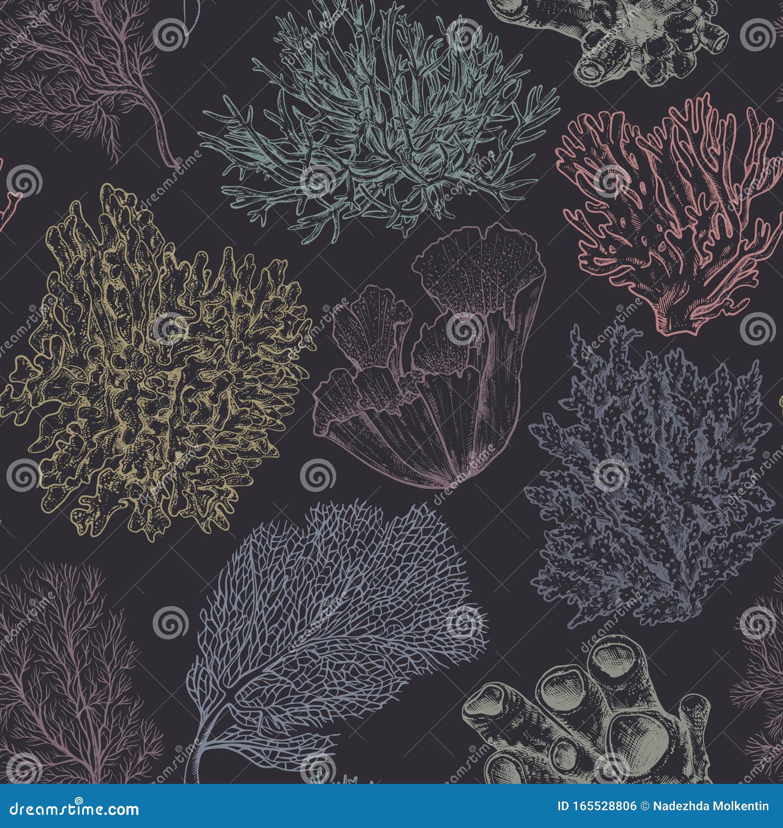 Vector Seamless Pattern with Hand Drawn Ocean Plants and Coral Reef ...