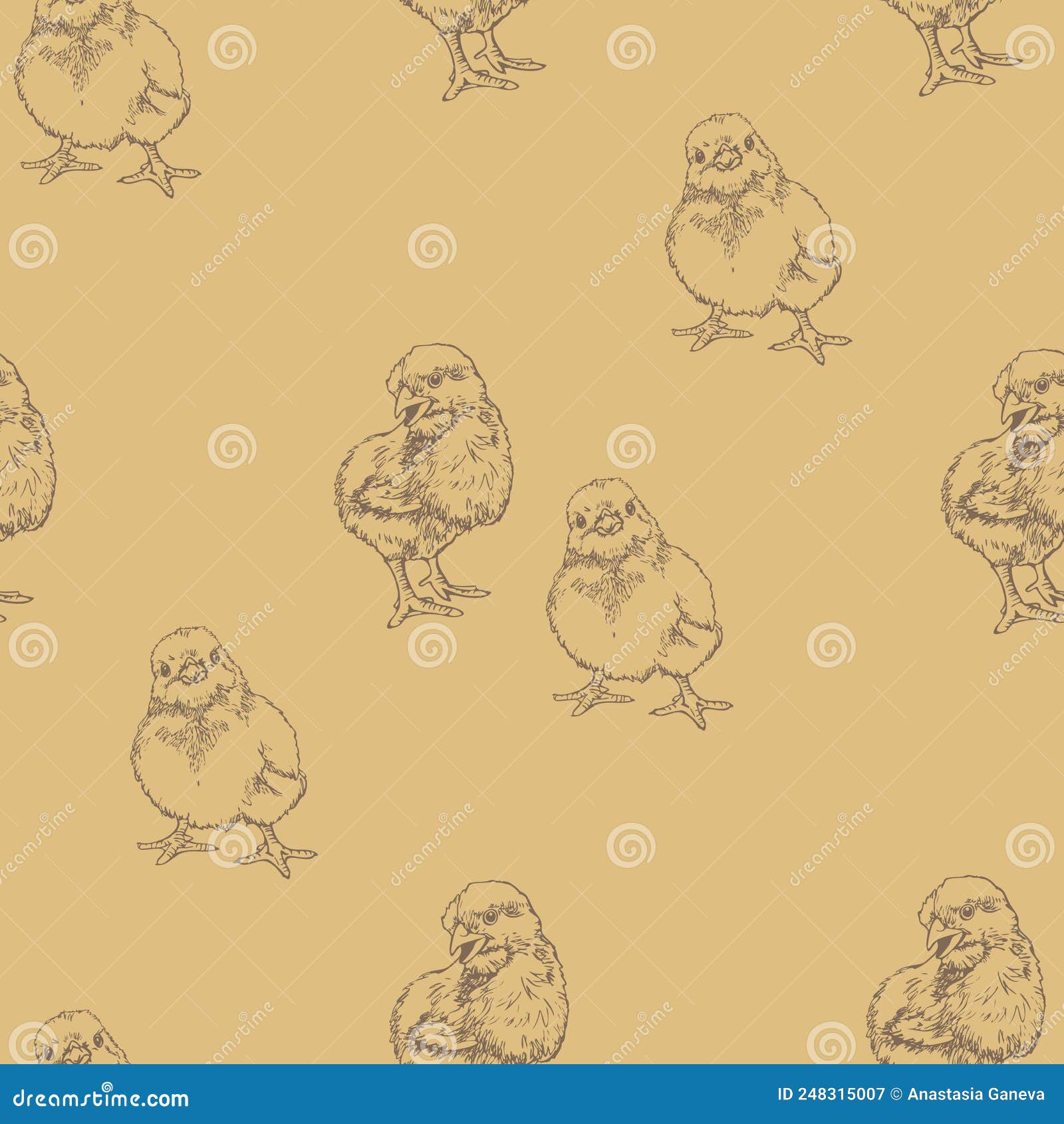 Vector Seamless Pattern with Hand Drawn Outlines of Chicks. Stock ...