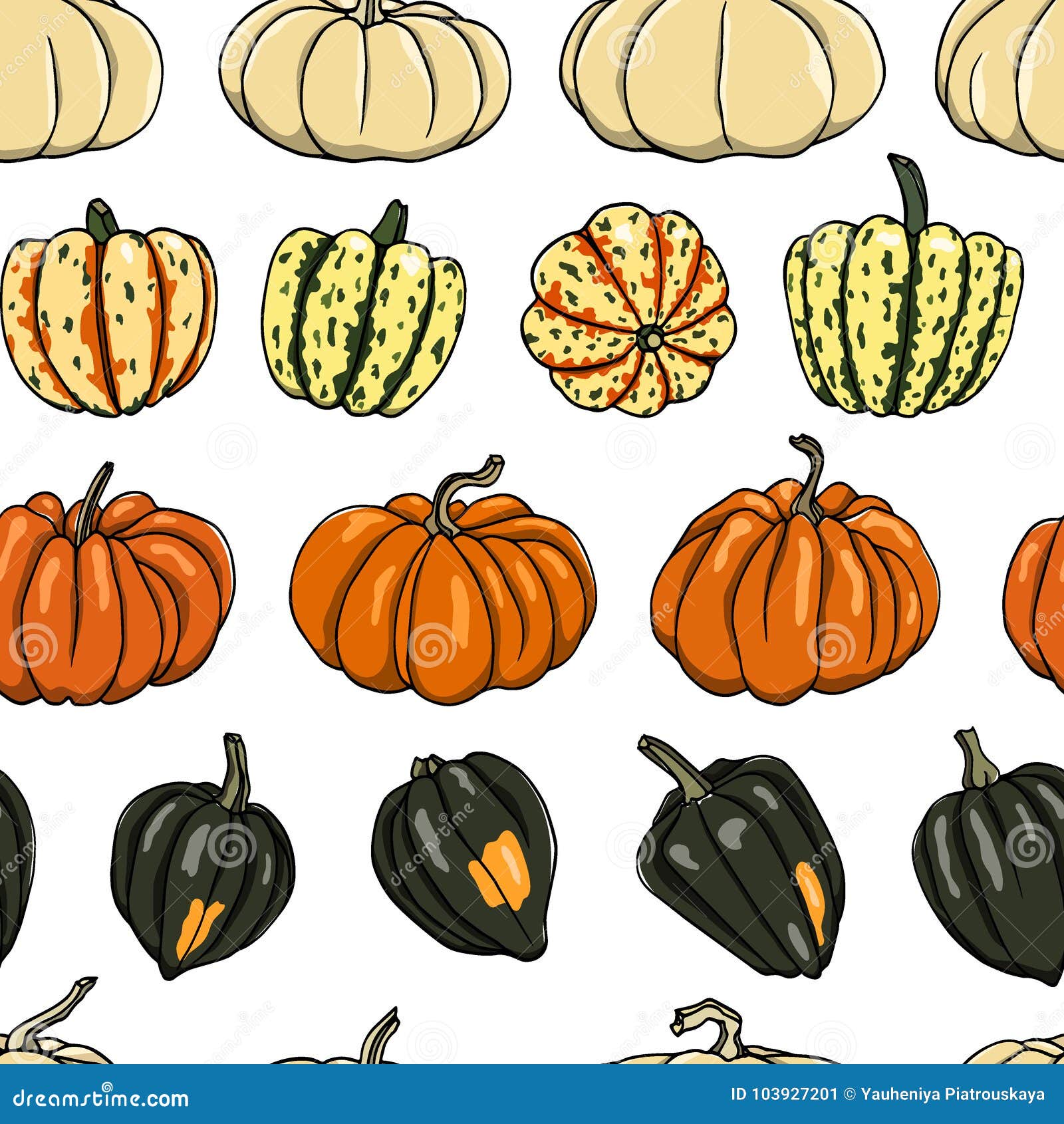 Hand Drawn Winter Squash Pattern Stock Vector - Illustration of ...