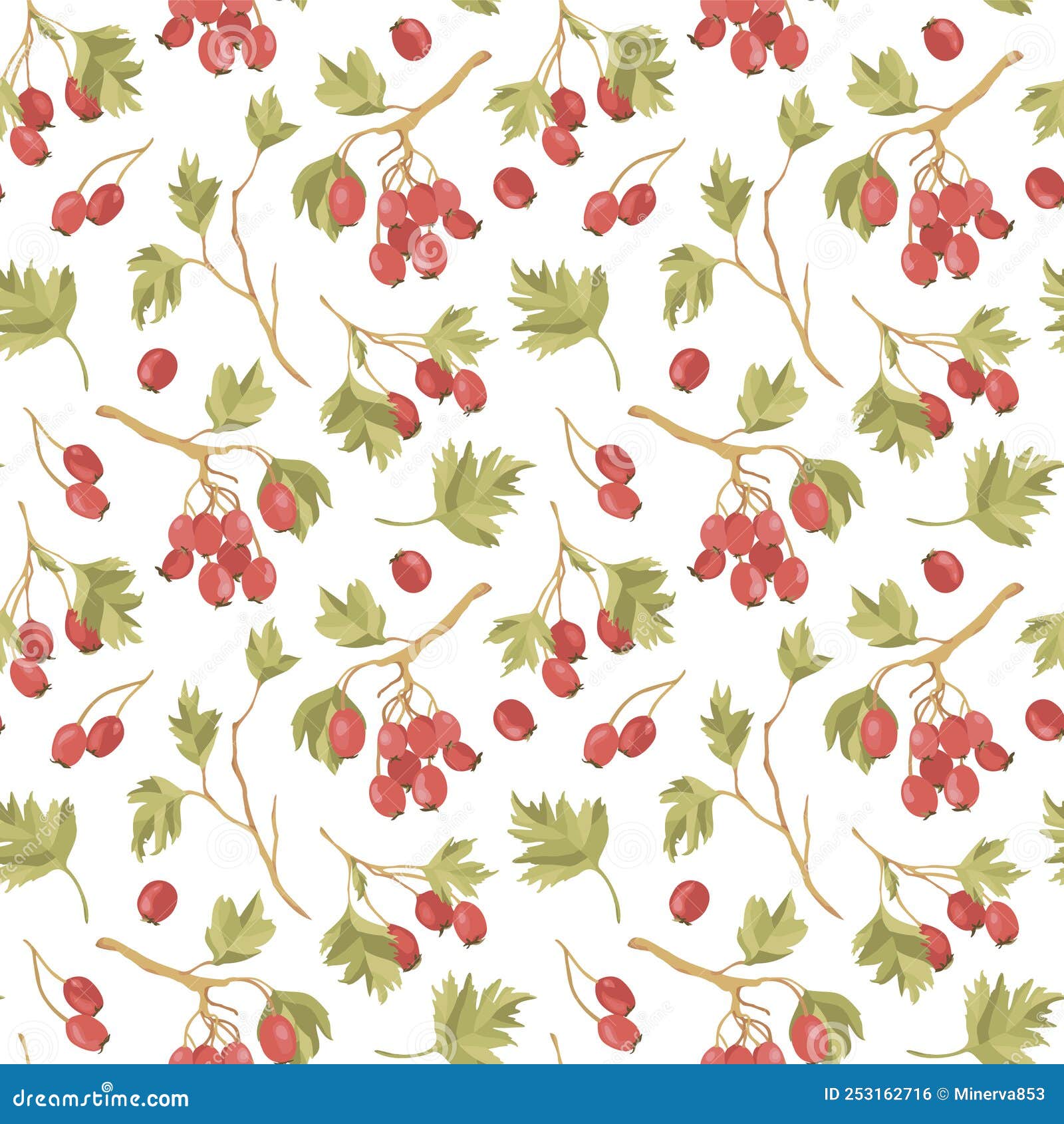 Hawthorn Shrub Leaf. Vector Illustration. Outline, Silhouette, Line Art ...