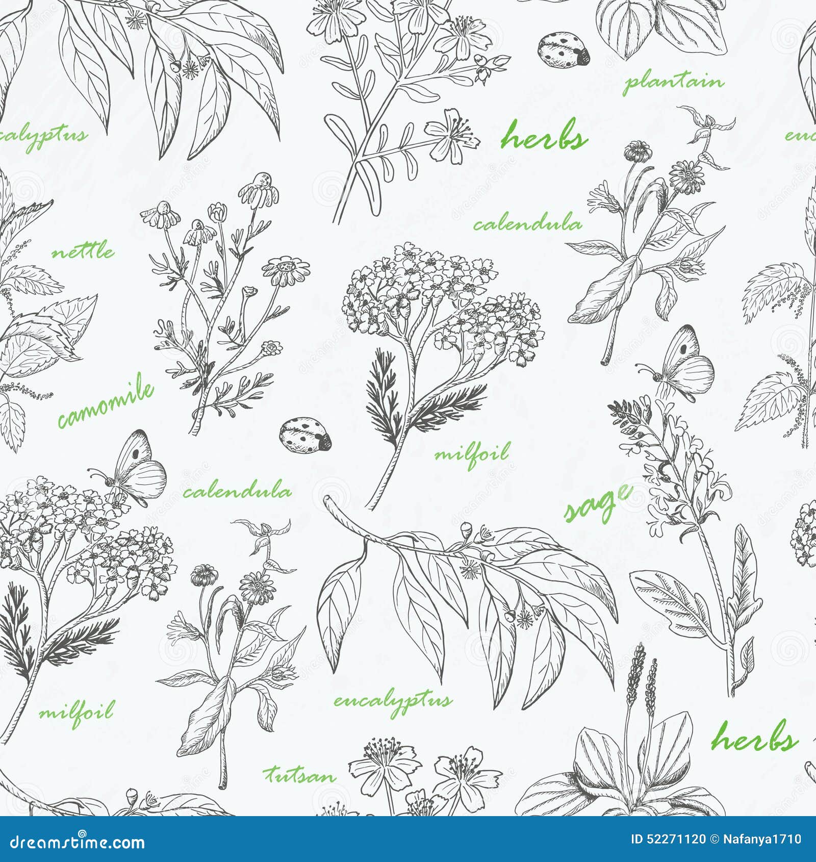 Vector Seamless Pattern with Herbs on a White Background Stock ...